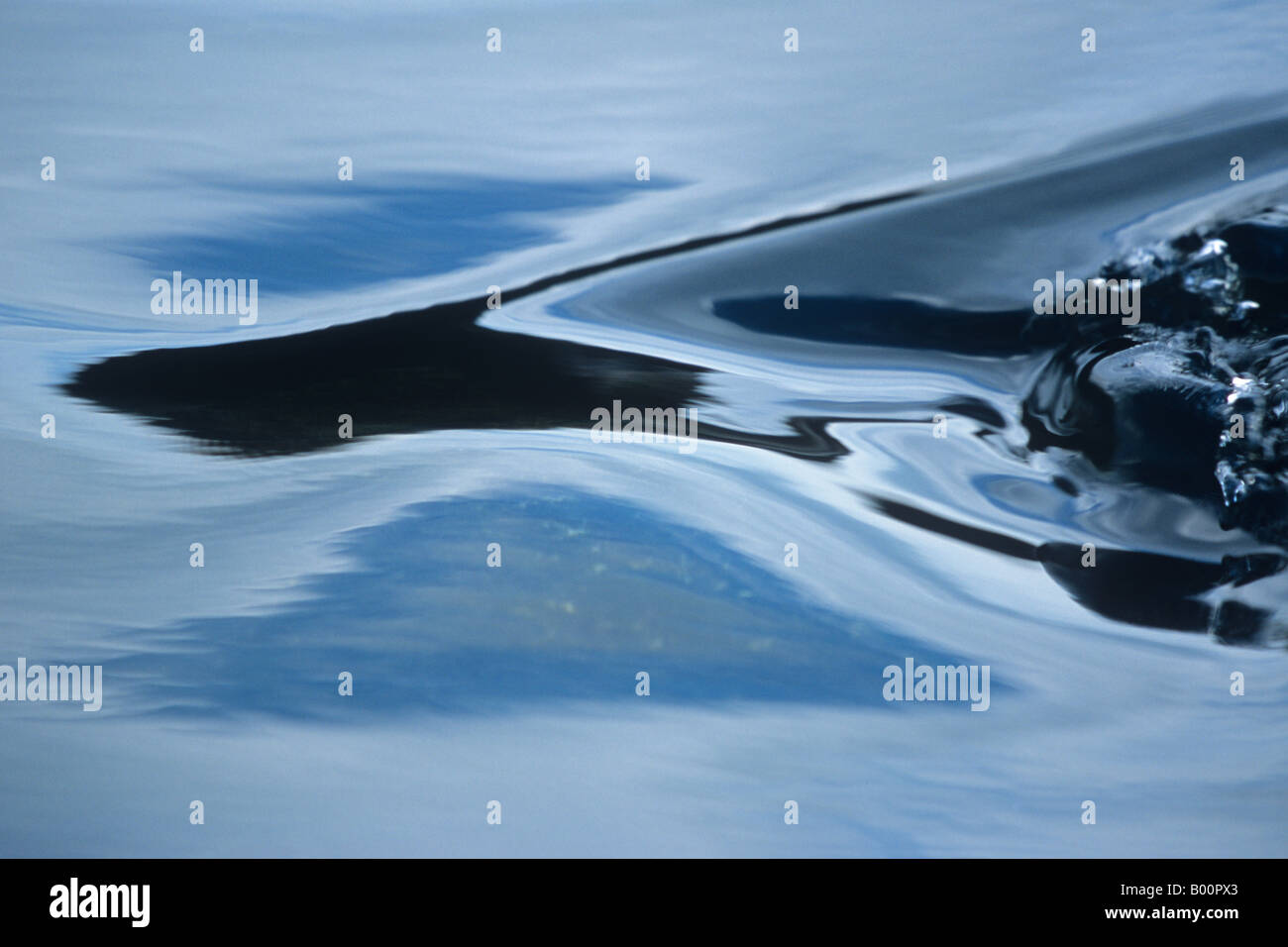 Fluid contours hi-res stock photography and images - Alamy