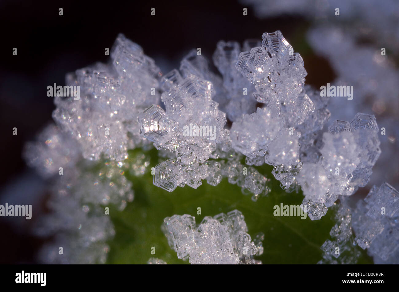 Close up crystal clear waters hi-res stock photography and images - Alamy