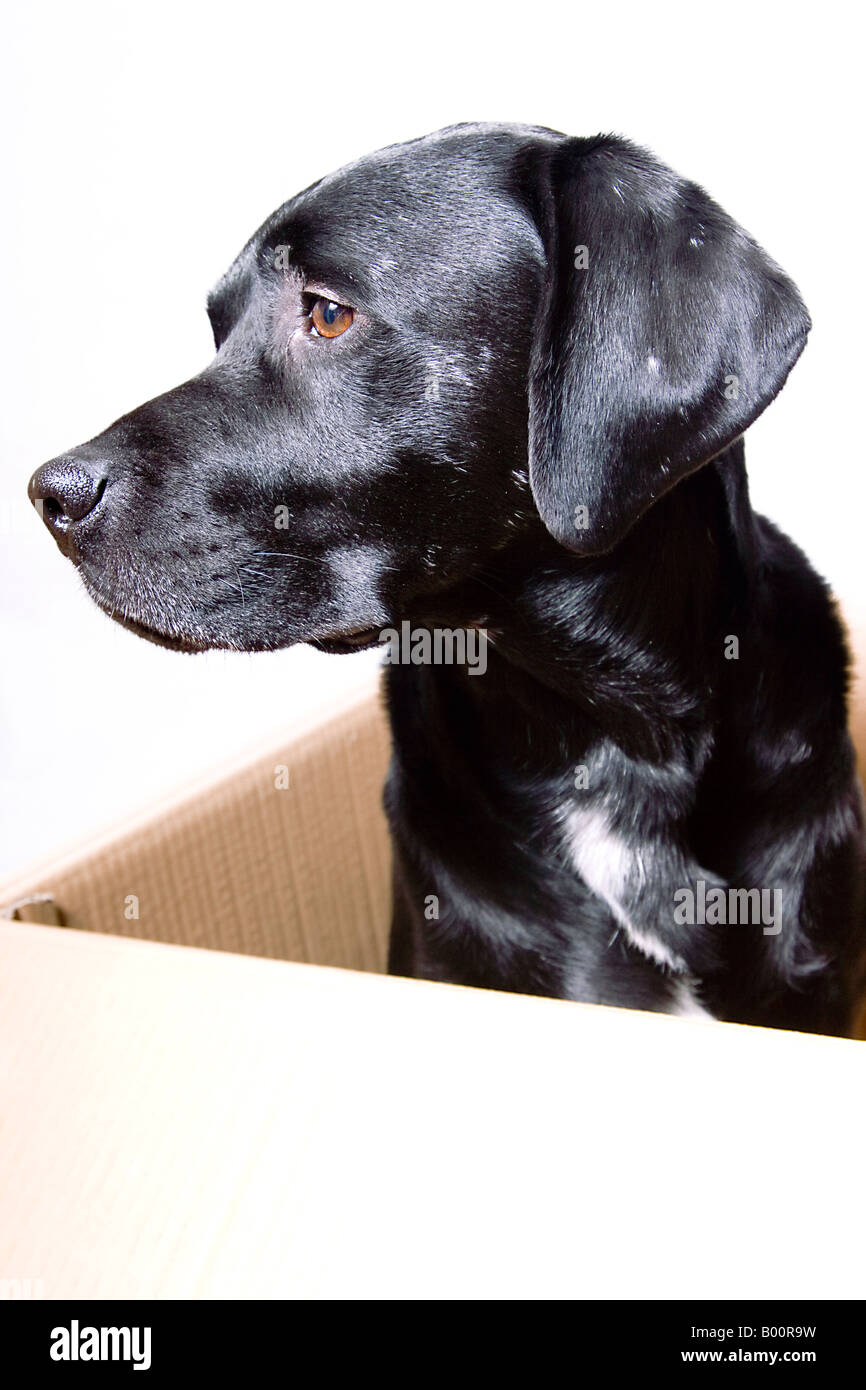 Heads packages hi-res stock photography and images - Alamy