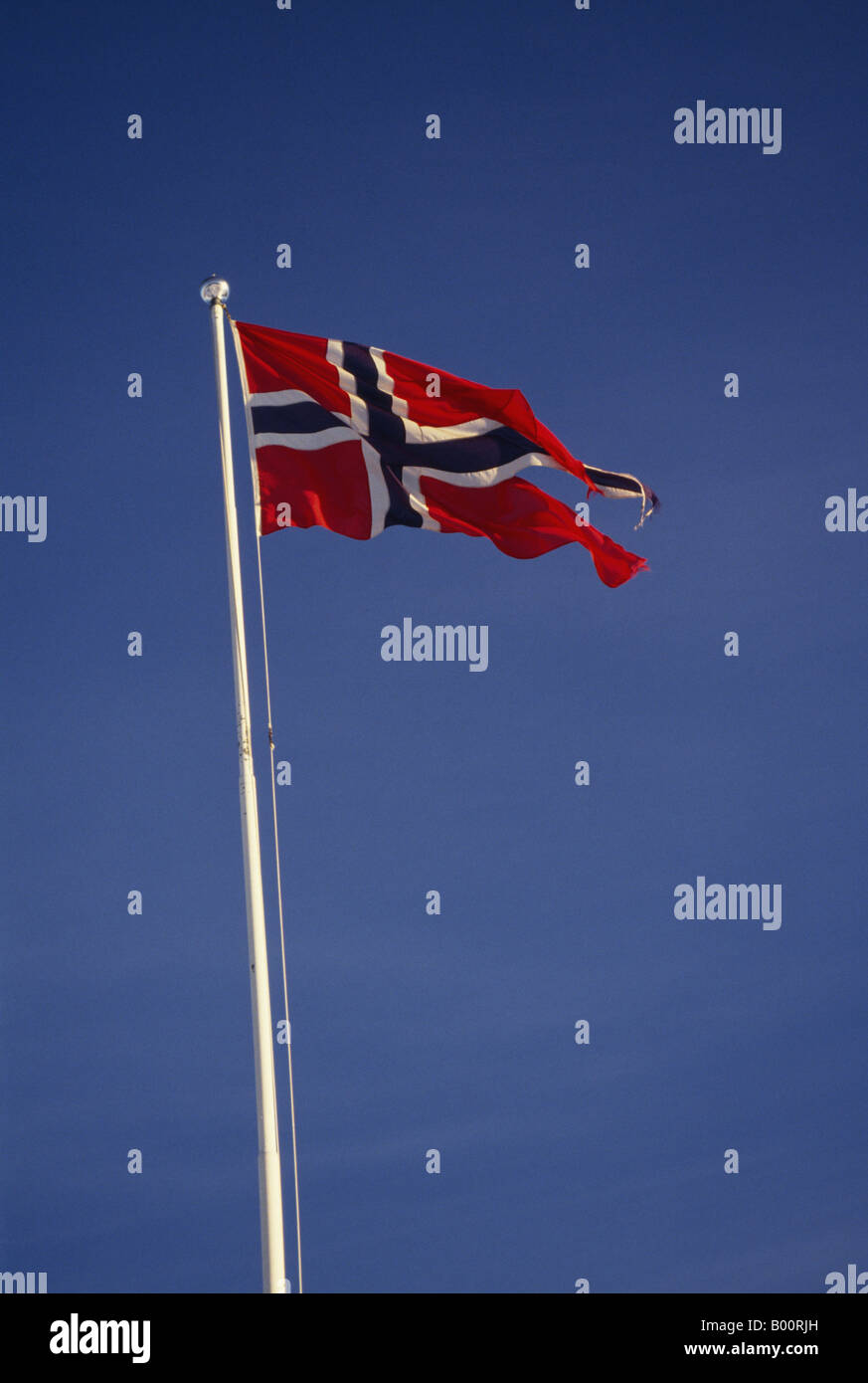 National flag flying Red blue white FLAG OF NORWAY NORWAY Stock Photo ...
