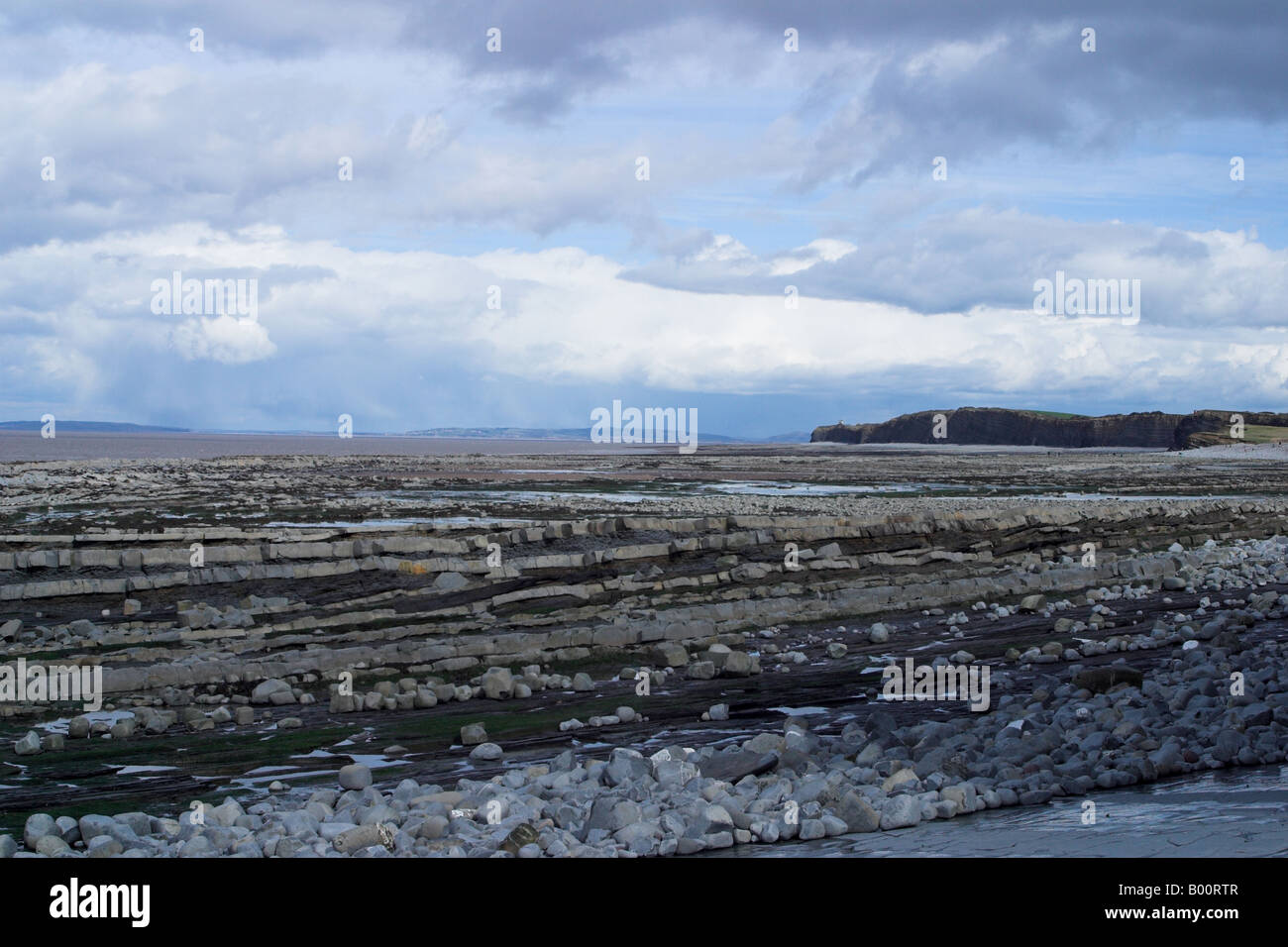 Kilve Fossils High Resolution Stock Photography and Images - Alamy
