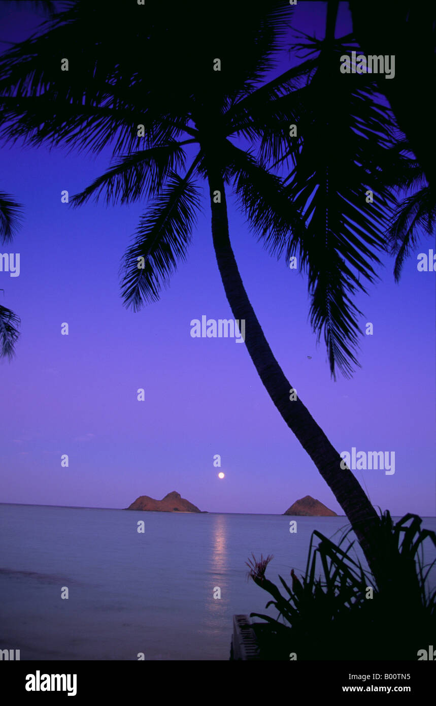 Moonrise Mokulua Island Lanikai Oahu Hawaii USA Stock Photo - Alamy