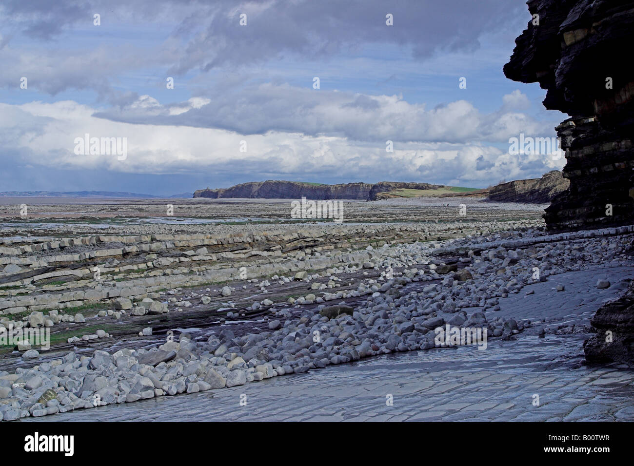 Kilve Fossils High Resolution Stock Photography and Images - Alamy