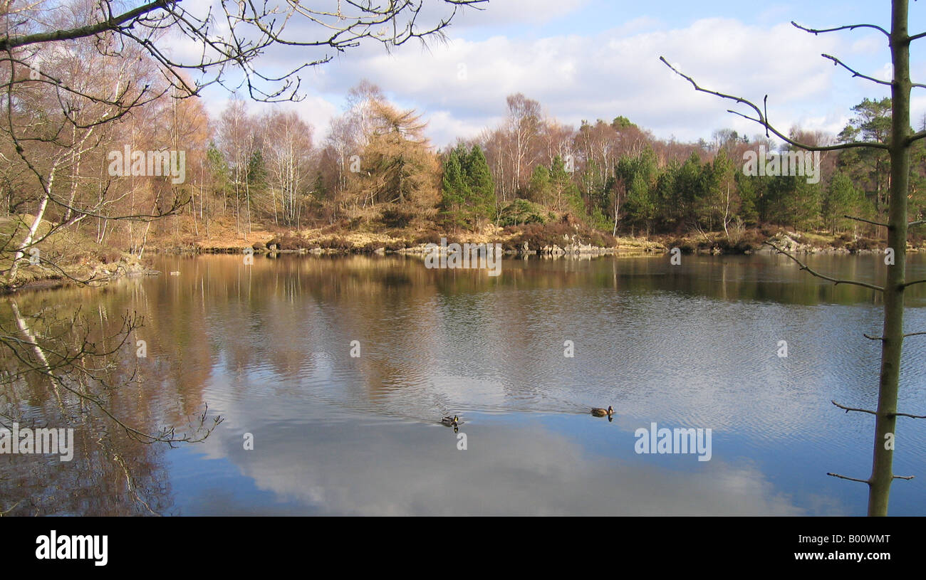 View of Tarn Hows, Lake District, Cumbria, England UK Stock Photo - Alamy