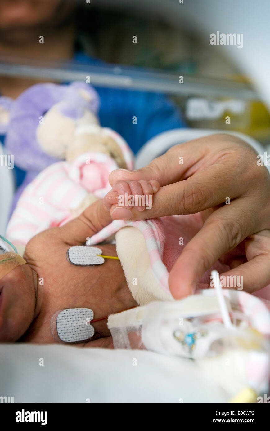Nicu monitor hi-res stock photography and images - Alamy