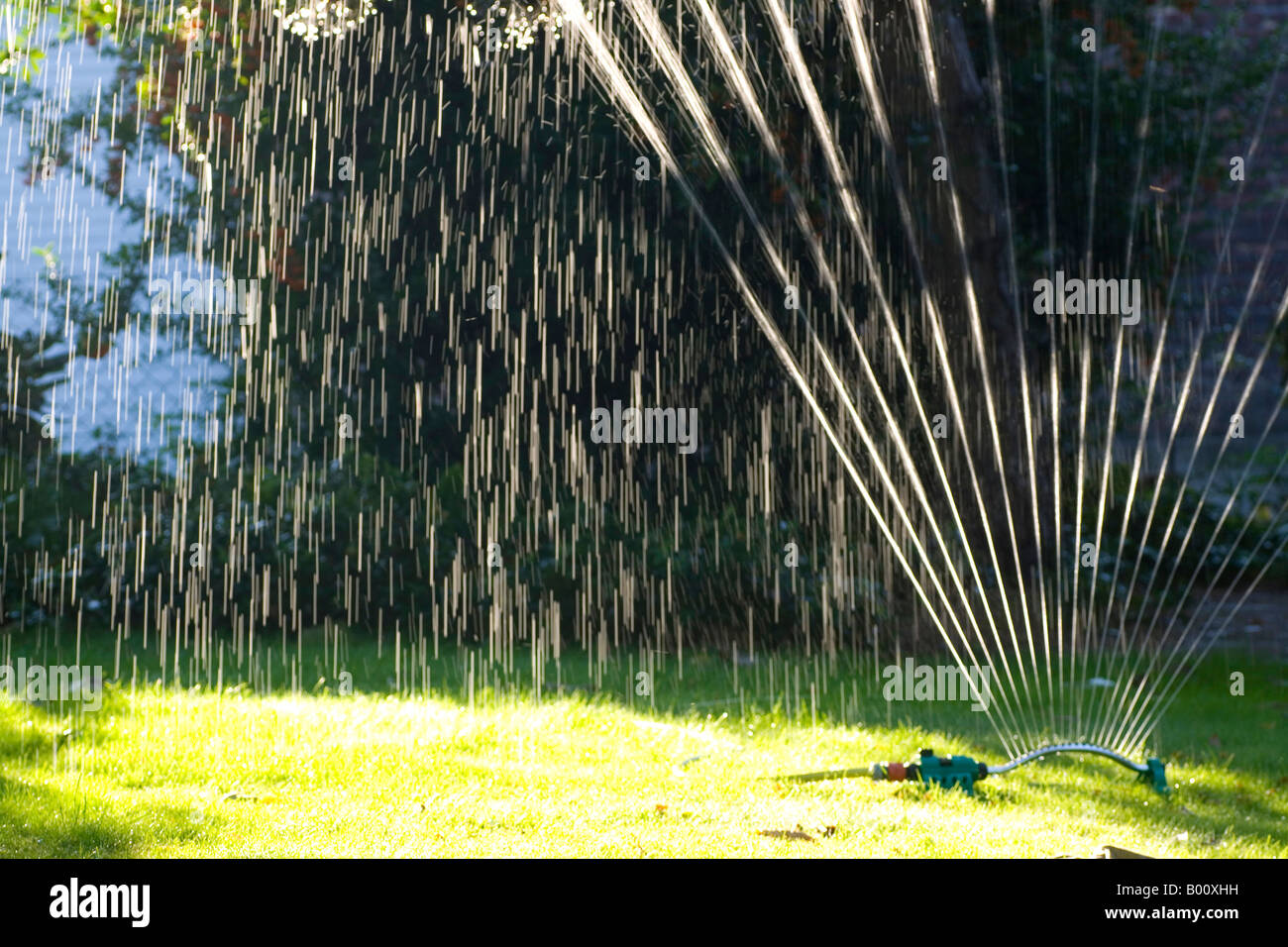 Buzzer guards hi-res stock photography and images - Alamy