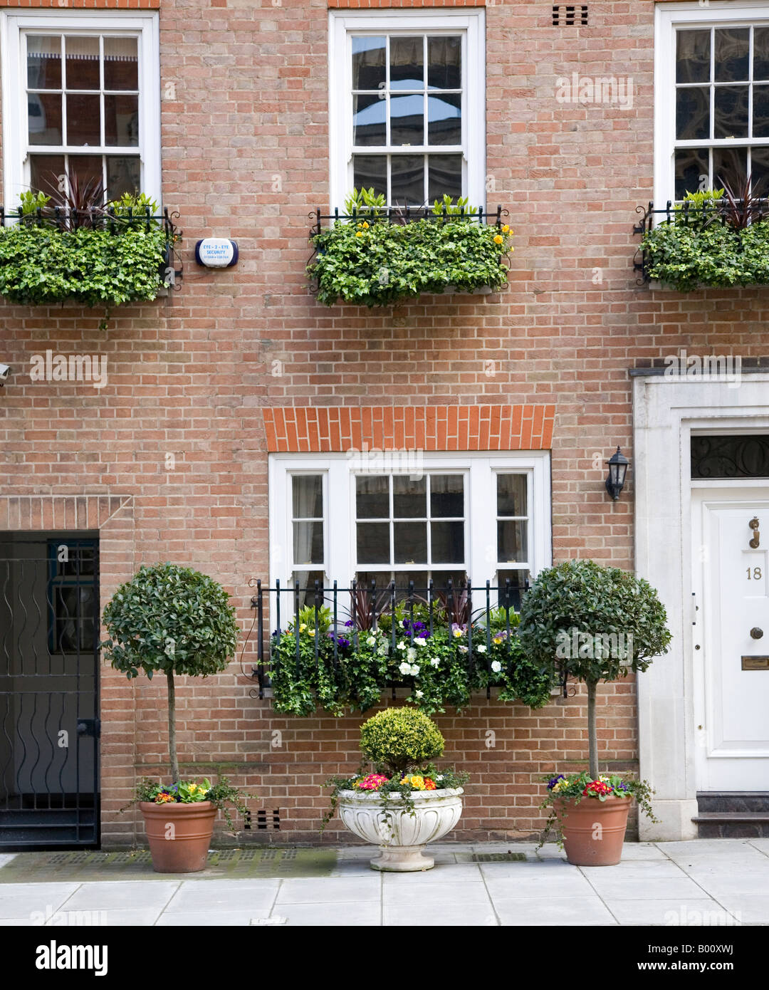 Mayfair door with plant pots hi-res stock photography and images - Alamy