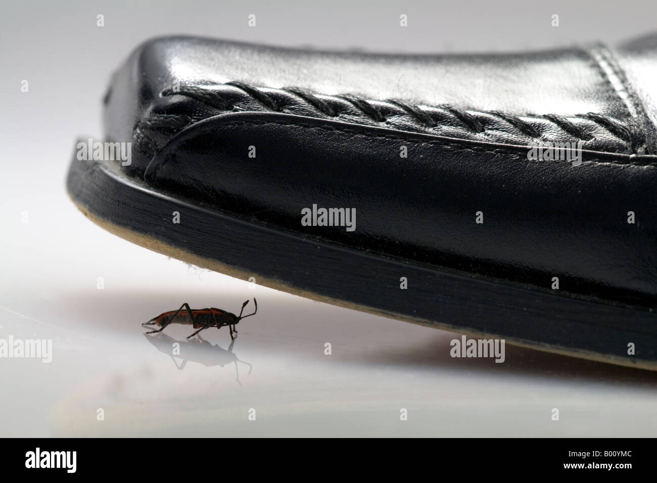 Impending doom hi-res stock photography and images - Alamy