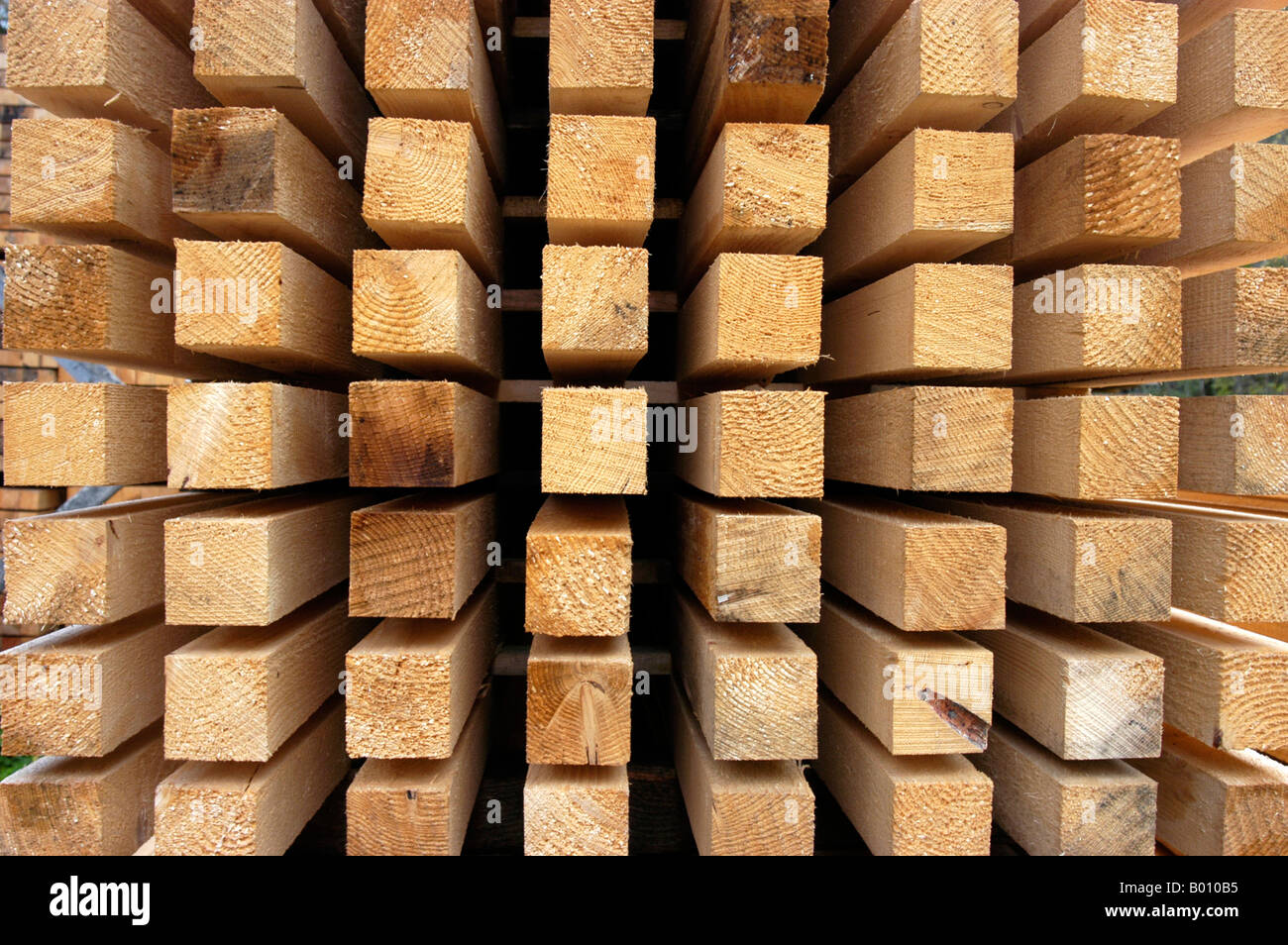 Wood pile piles hi-res stock photography and images - Alamy