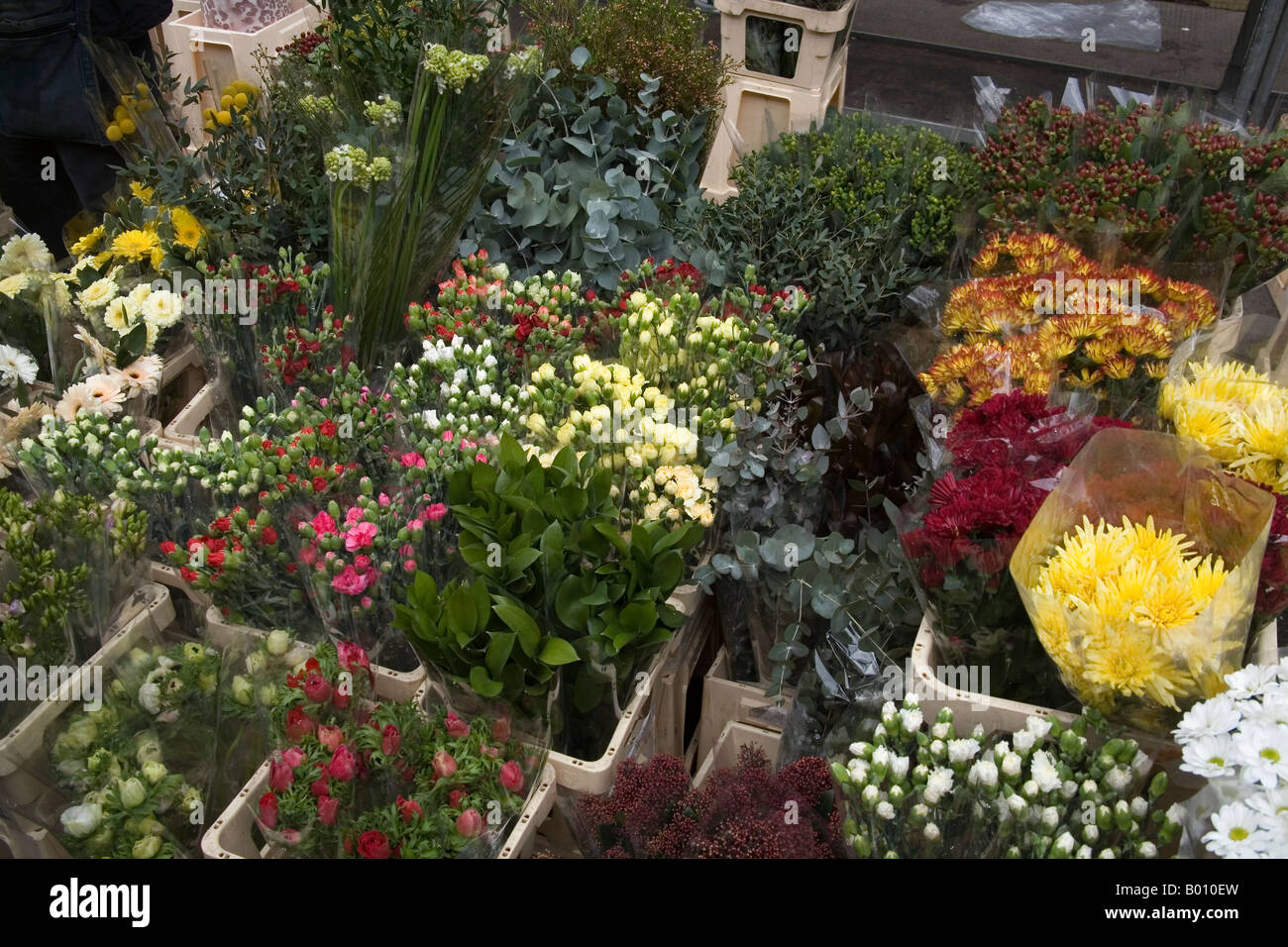 Columbia Road, Flower market London England Stock Photo - Alamy