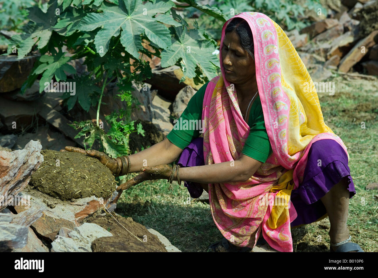 Buffalo dung hi-res stock photography and images - Alamy