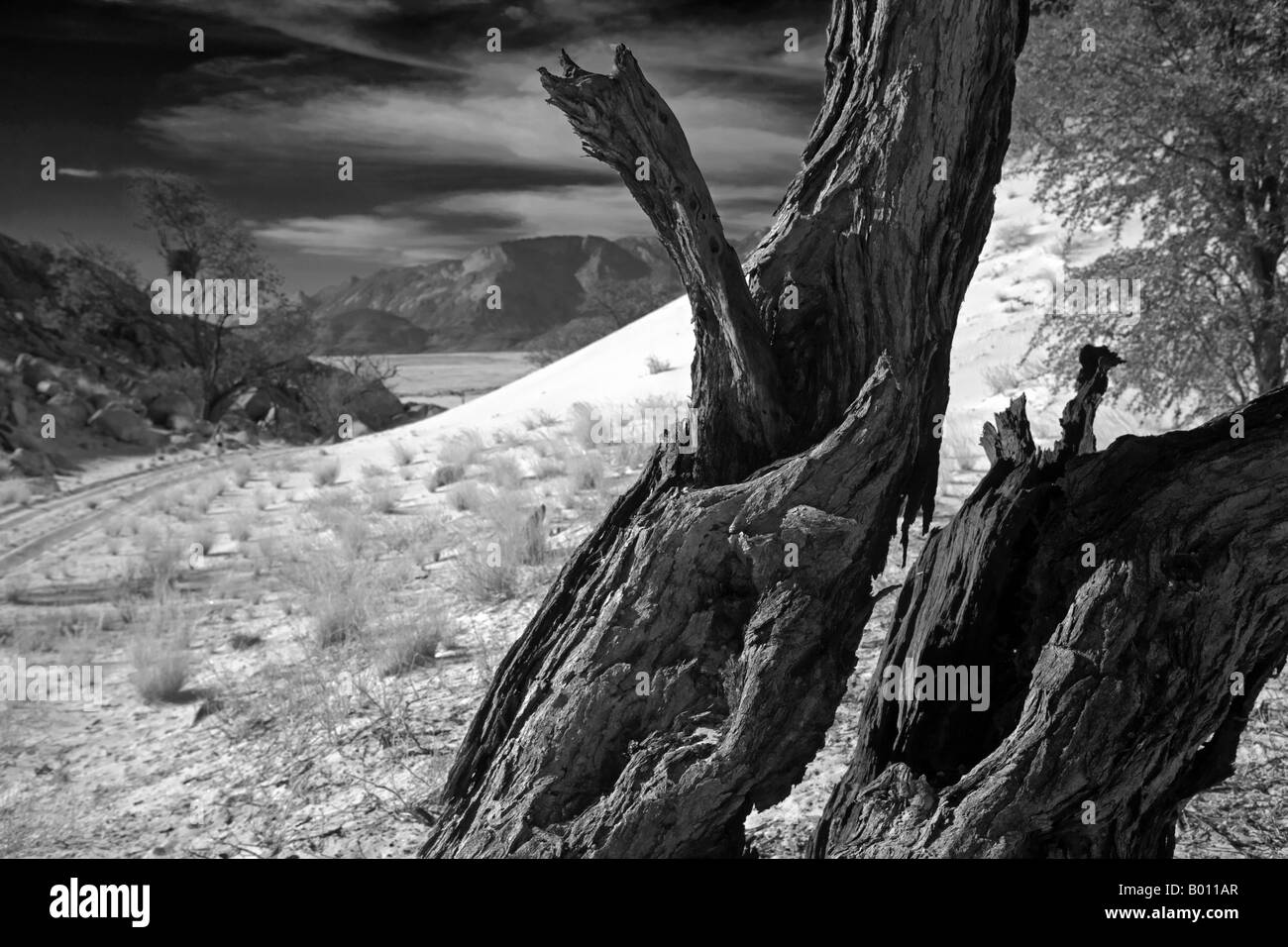 Daures namibia Black and White Stock Photos & Images - Alamy