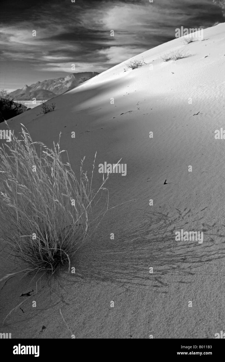 Daures namibia Black and White Stock Photos & Images - Alamy