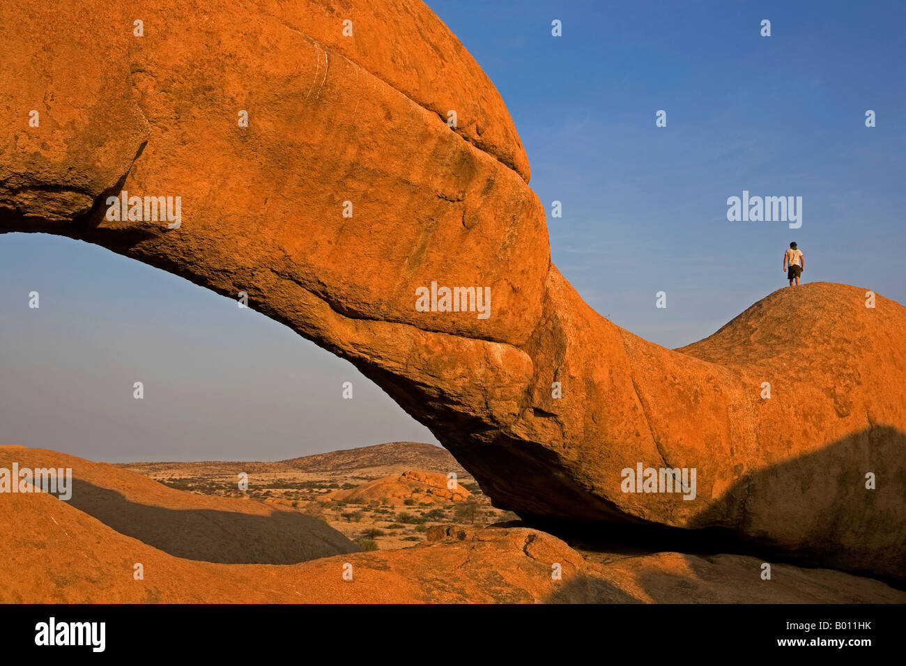 Namibia, Namib Desert, Spitzkoppe Mountain. One of the features of this ...