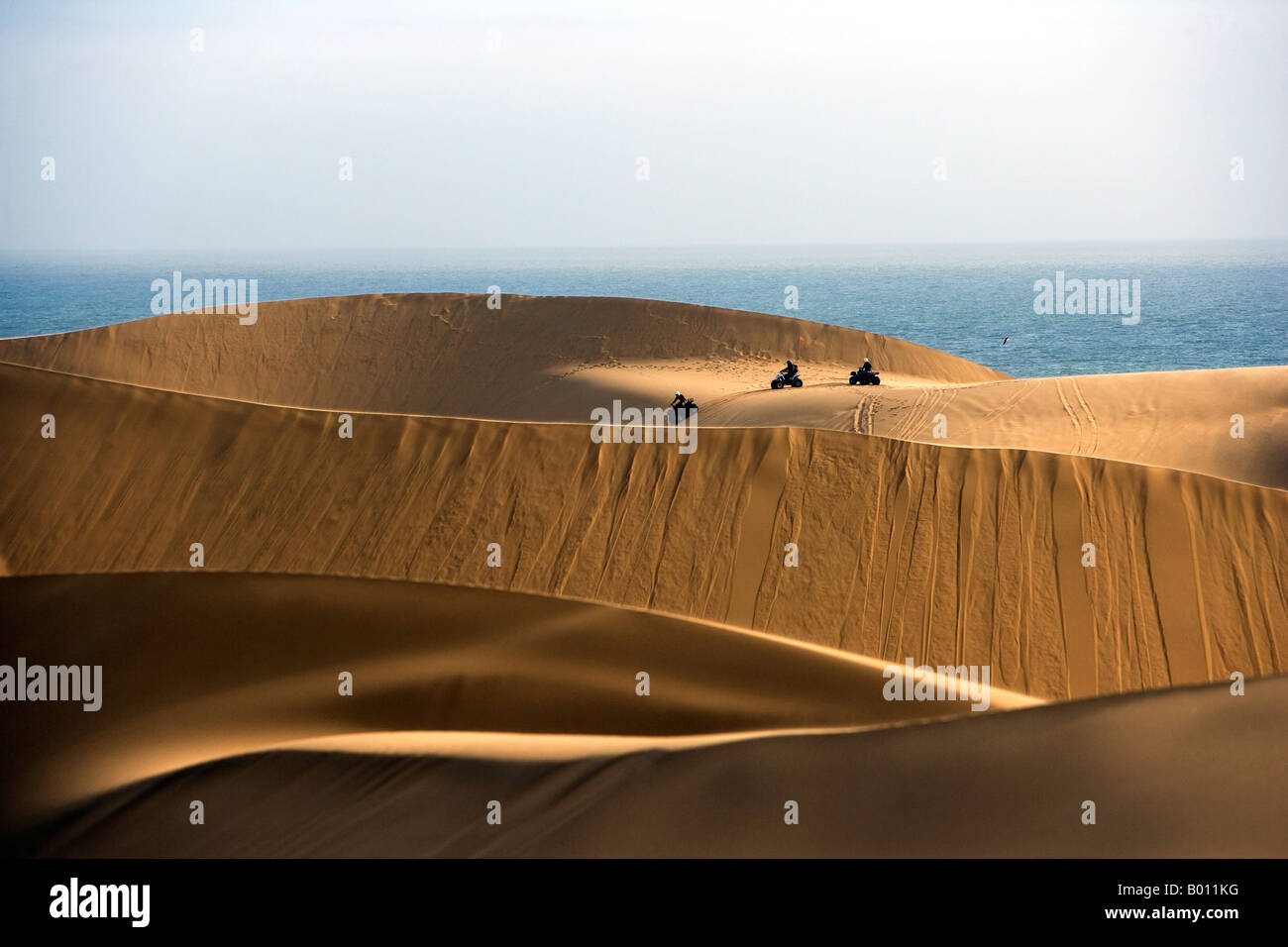 Namibia, Erongo Region, Swakopmund. Daily tours take tourists quad ...