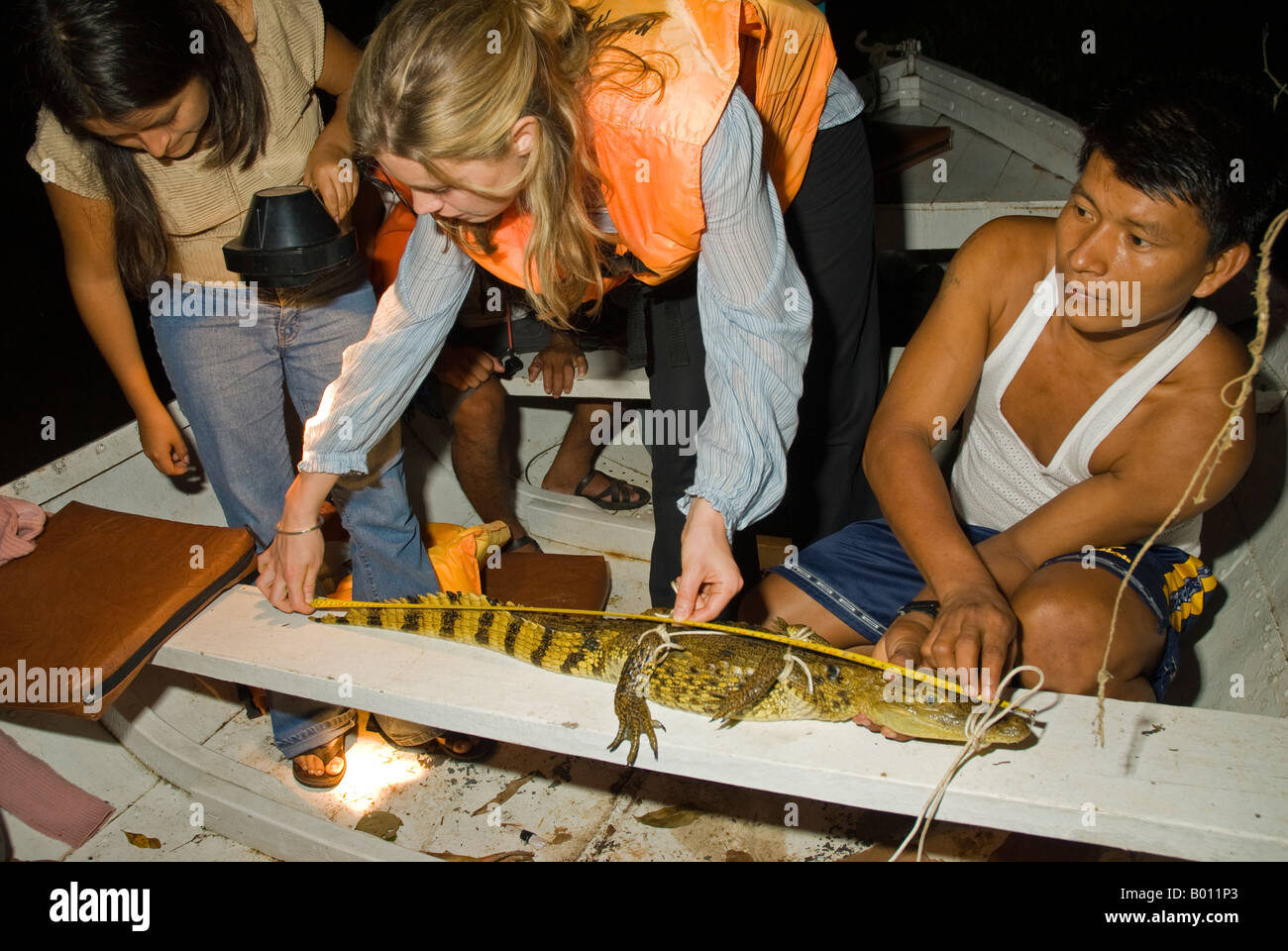 Peru, Amazon, Lago Preto Conservation Reserve. Earthwatch volunteers ...