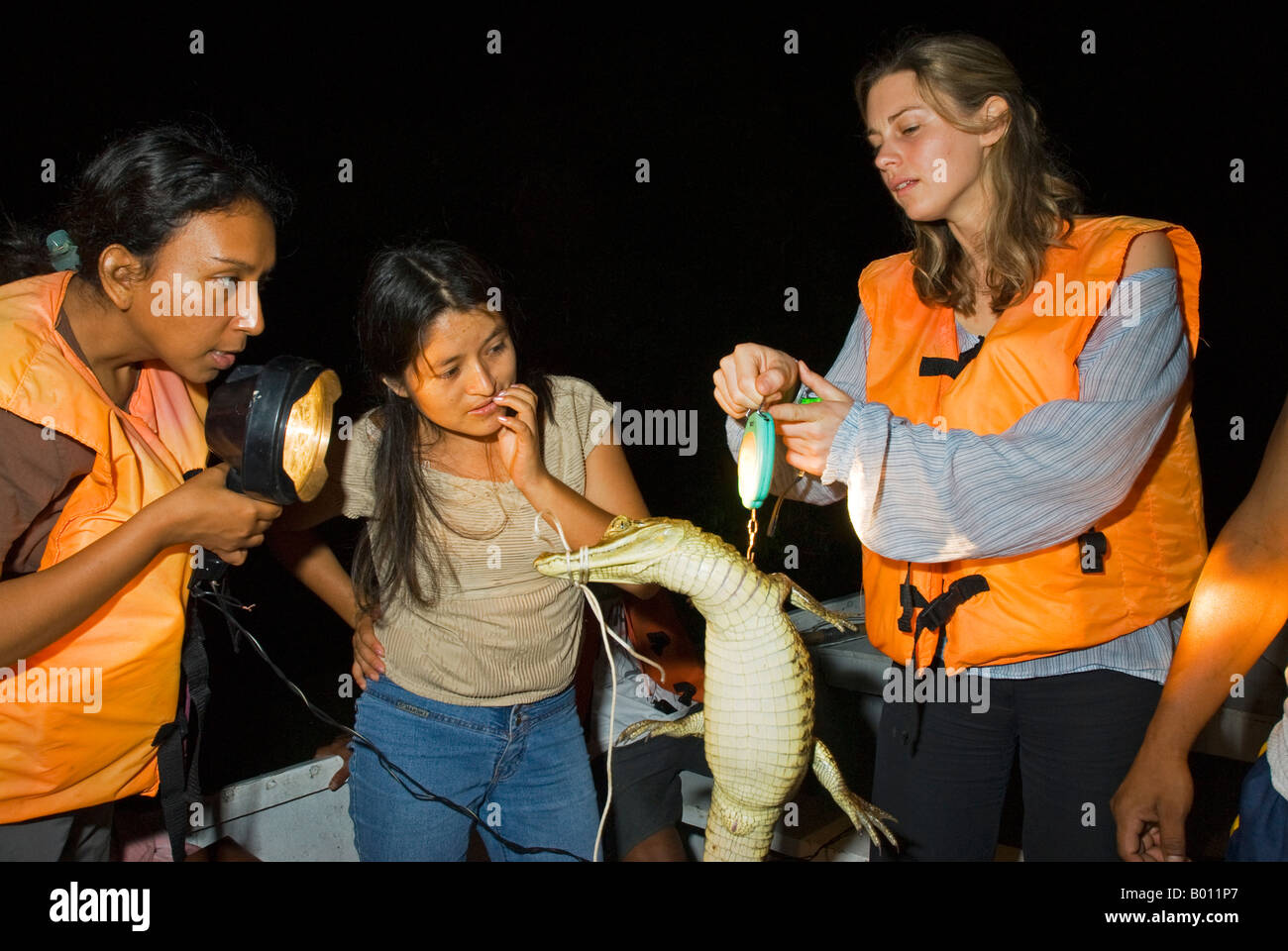 Peru, Amazon, Lago Preto Conservation Reserve. Earthwatch volunteers ...