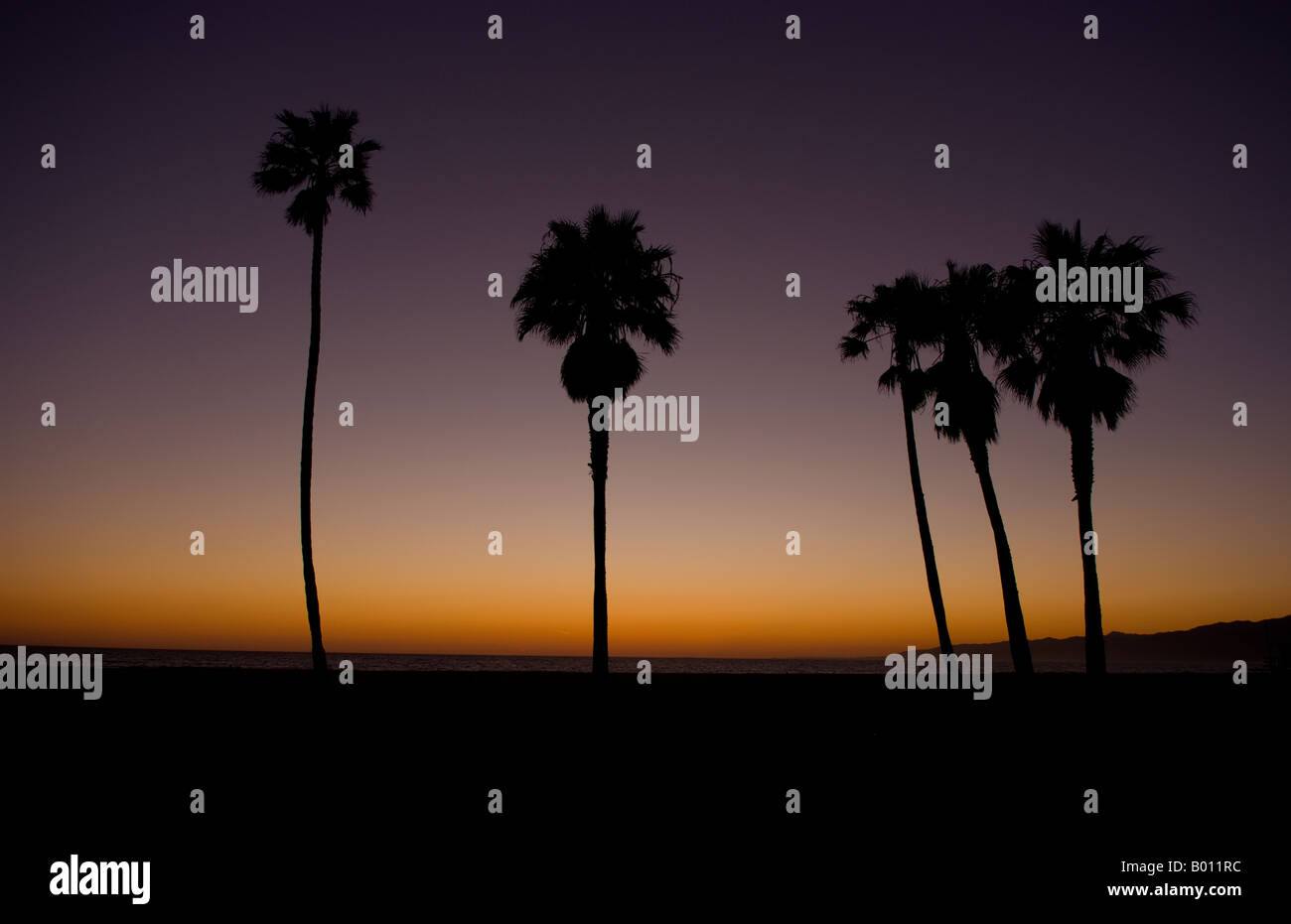 Palm trees dusk sunset hi-res stock photography and images - Alamy