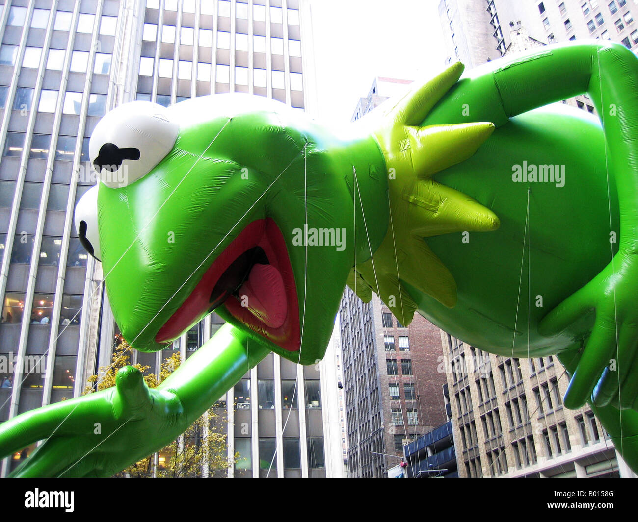 Kermit the Frog, Macys Thanksgiving Parade, Manhattan, New York, USA ...