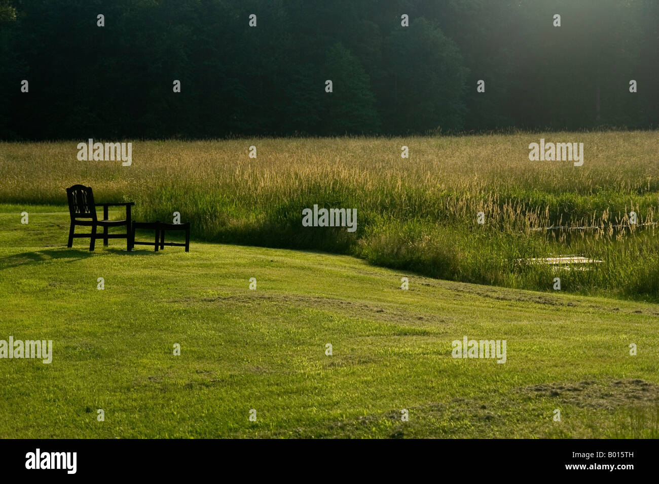 Photo of a bench in a field of tall grass Stock Photo - Alamy