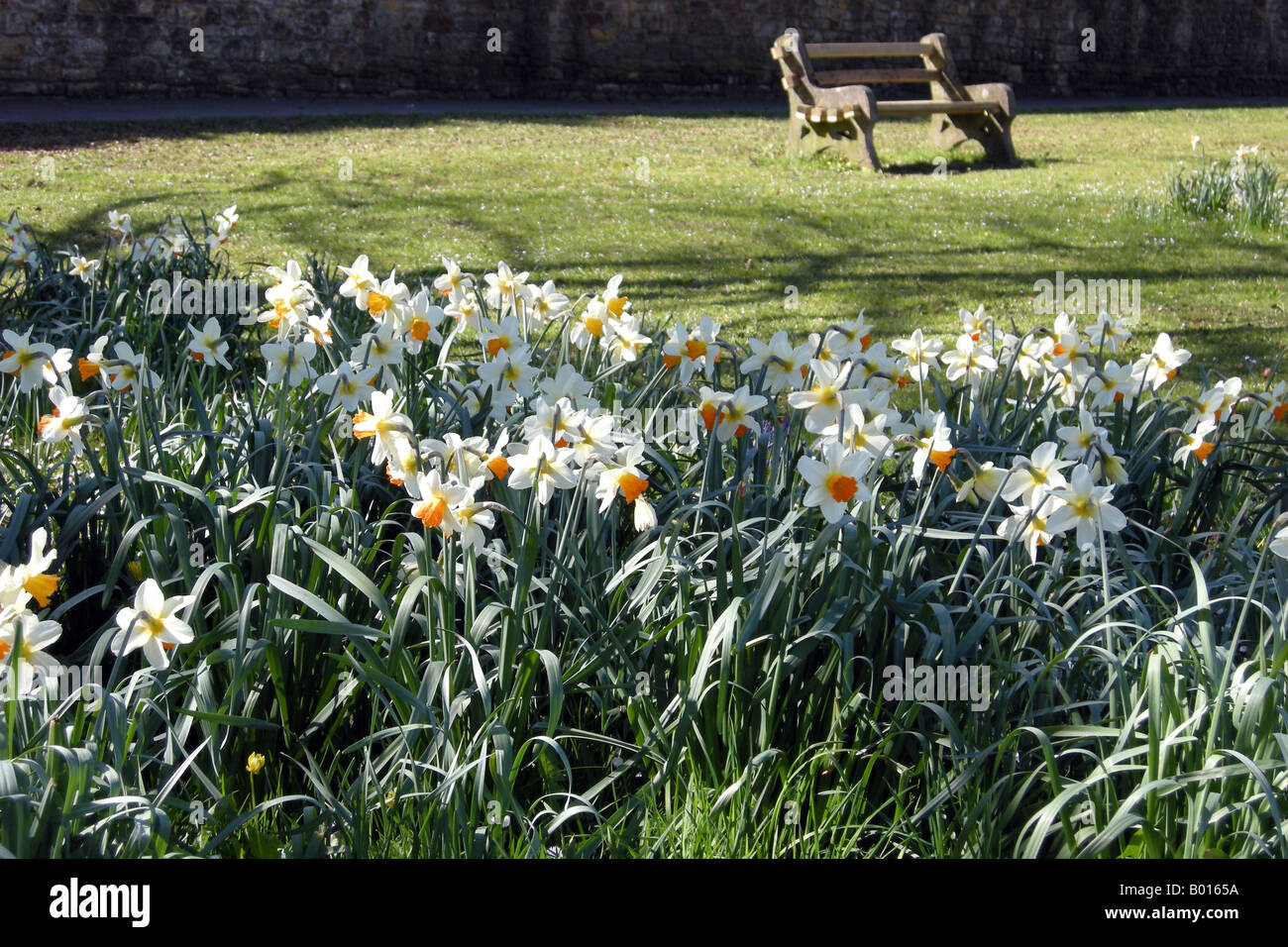 Garden ornament and daffodils hi-res stock photography and images - Alamy