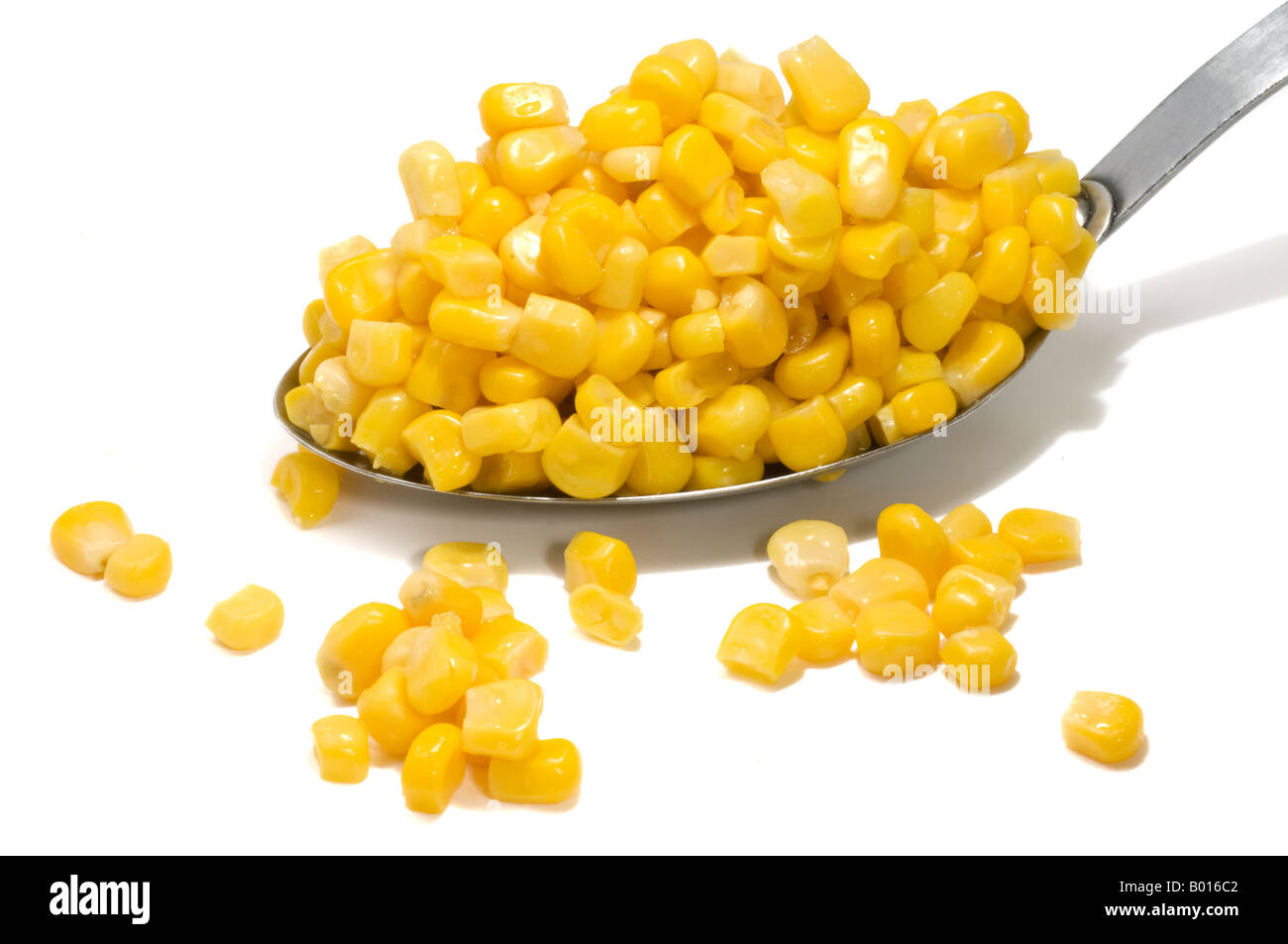 Canned sweetcorn drained on a draining spoon Stock Photo - Alamy
