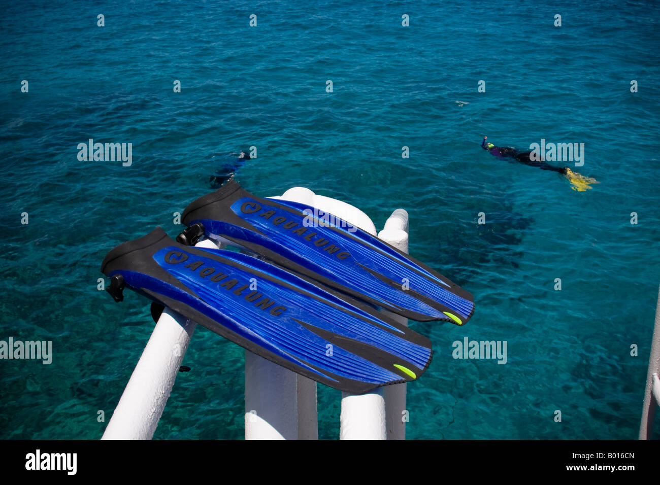 Free diving flippers hi-res stock photography and images - Alamy