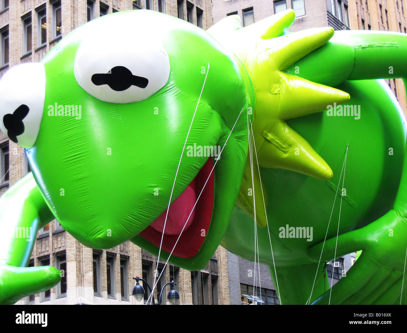 Kermit the Frog, Macys Thanksgiving Parade, Manhattan, New York, USA ...