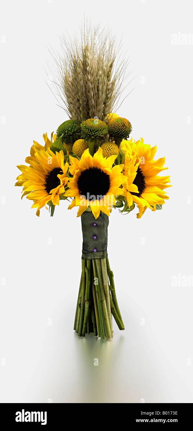 english flower poesy sunflower Stock Photo - Alamy