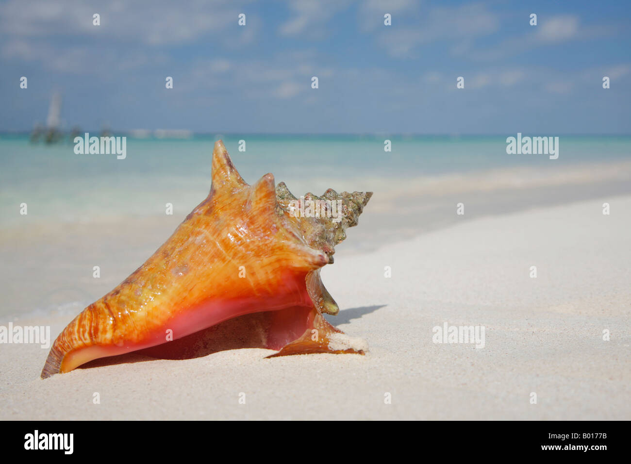 Image romantic beach resort hi-res stock photography and images - Alamy