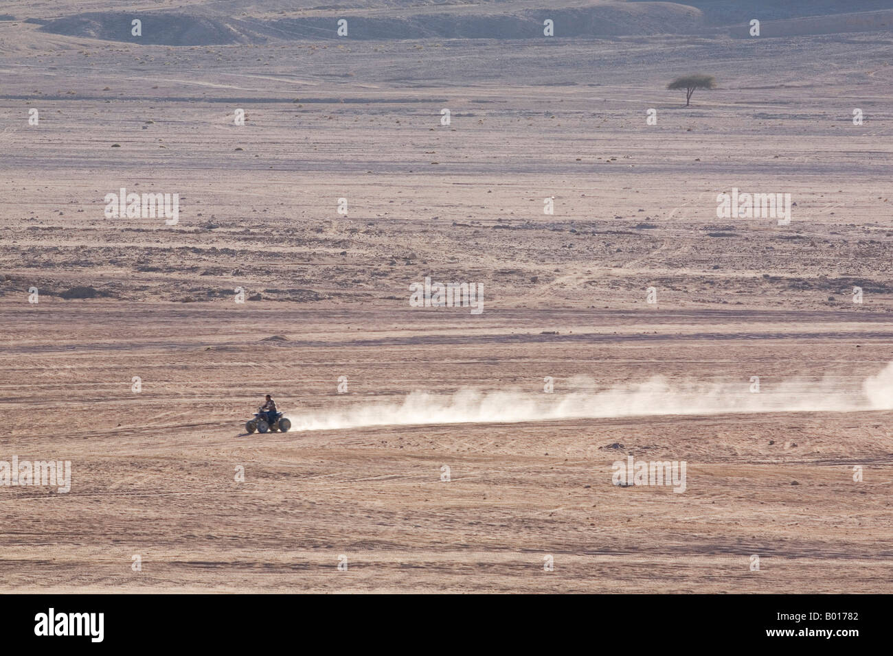 Quad Biker travels through the desert landscape of South Sinai near ...