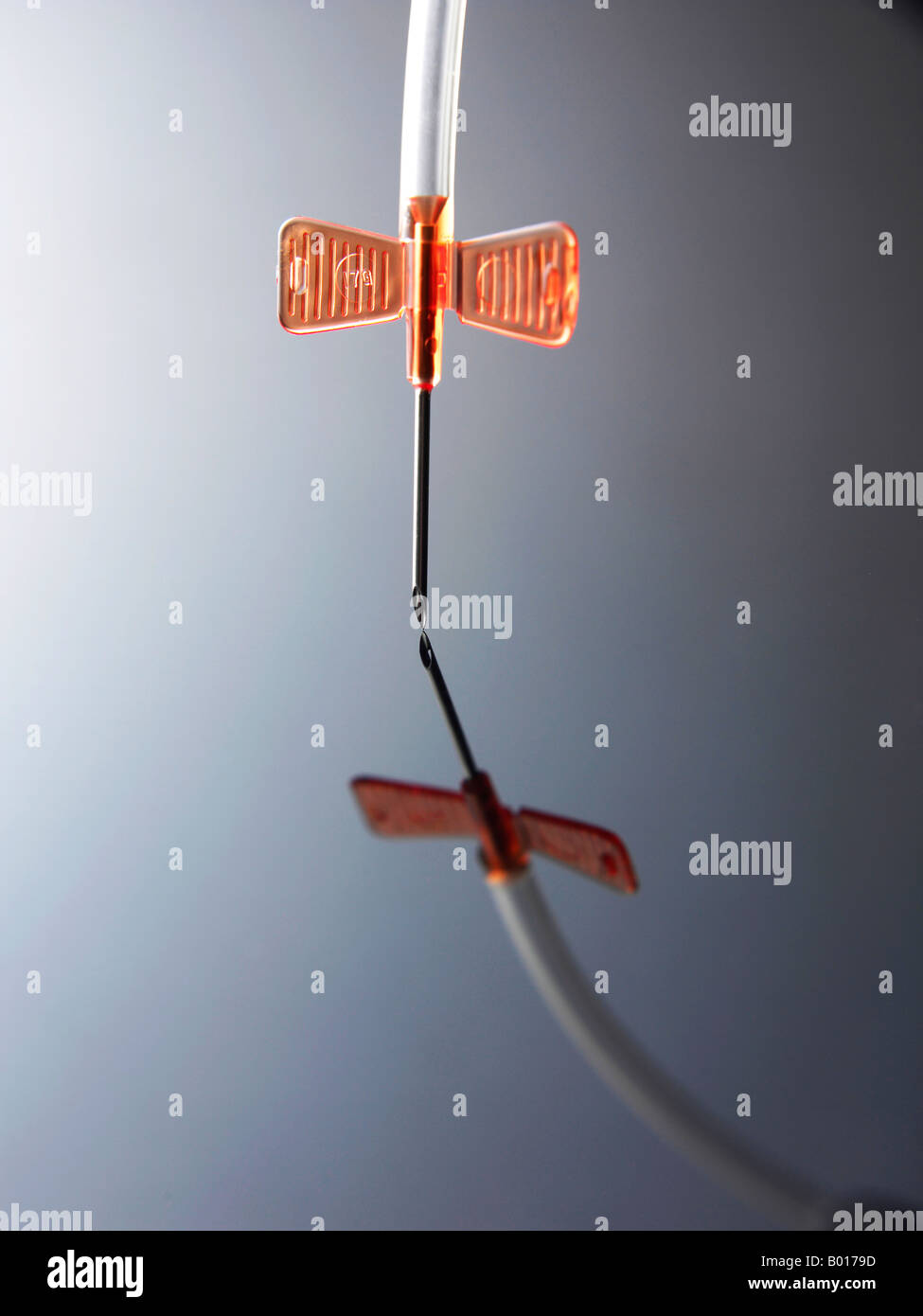 Butterfly iv hi-res stock photography and images - Alamy