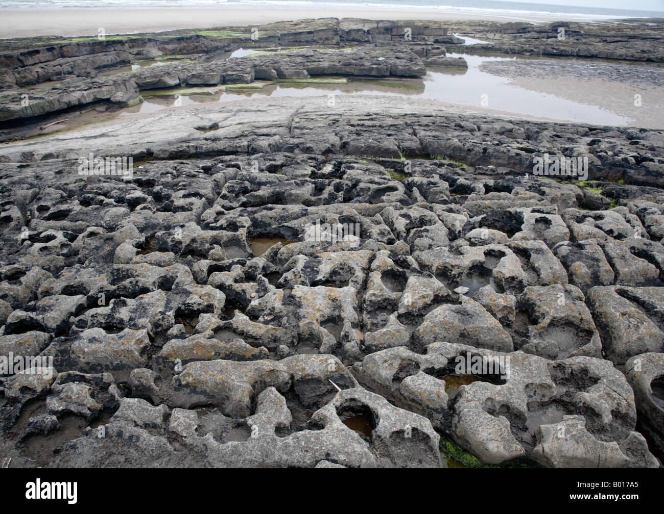 Limestone rock formations on the Northeast coast of England Stock Photo ...