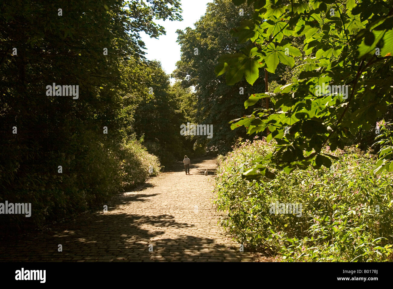 Manchester heaton park walk hi-res stock photography and images - Alamy