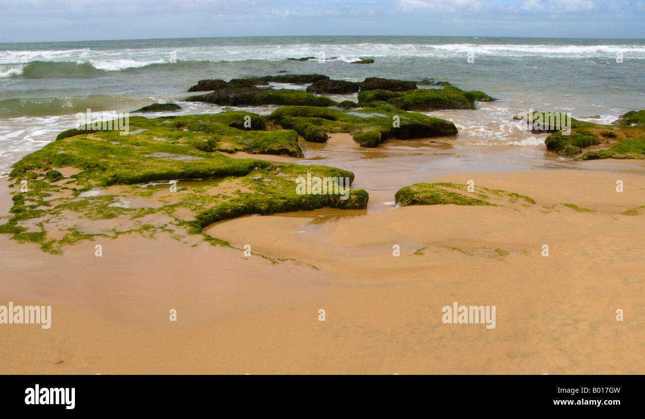 Kasouga beach hi-res stock photography and images - Alamy