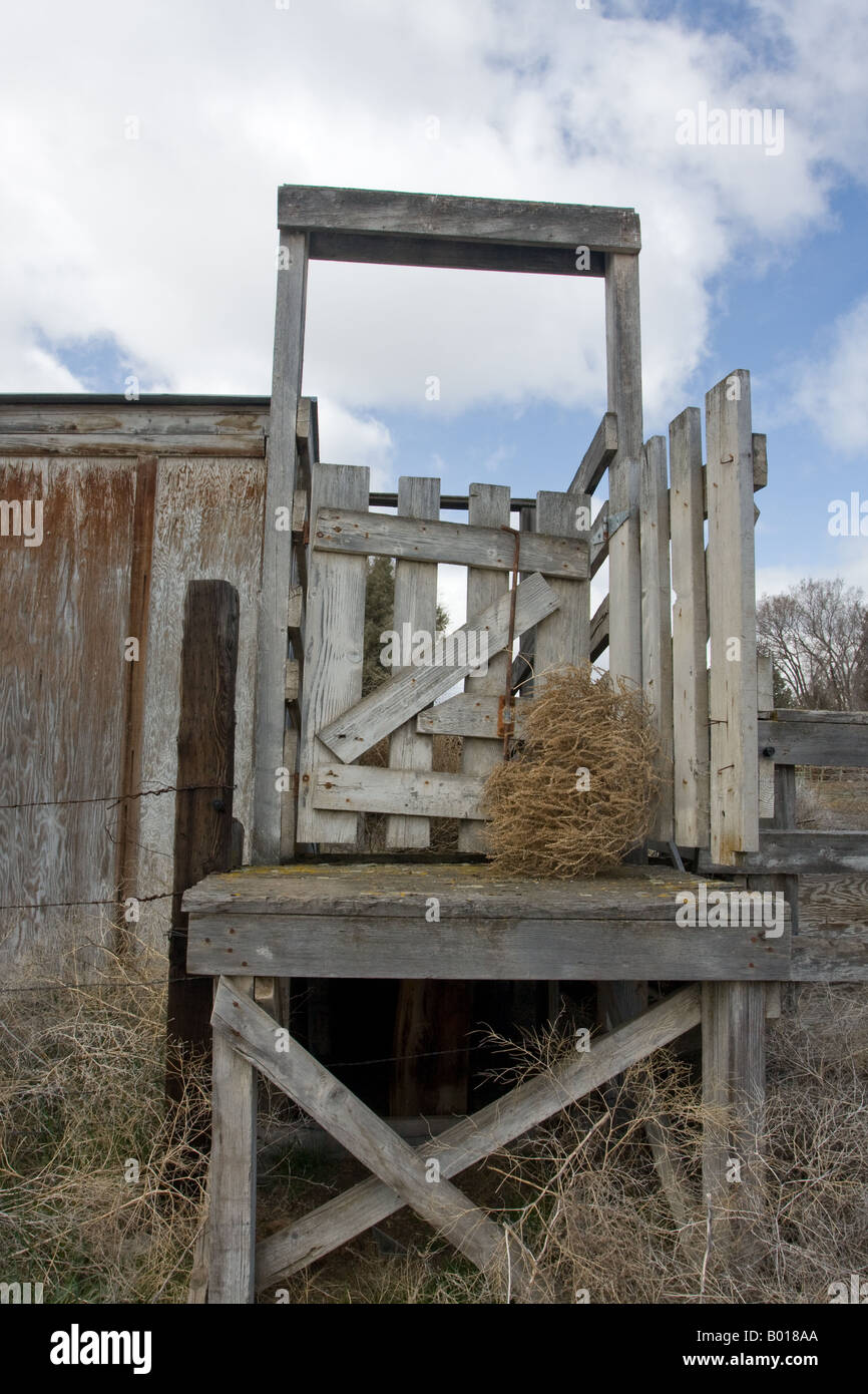 Old Wood Livestock Loading Chute in Madras Oregon Stock Photo - Alamy