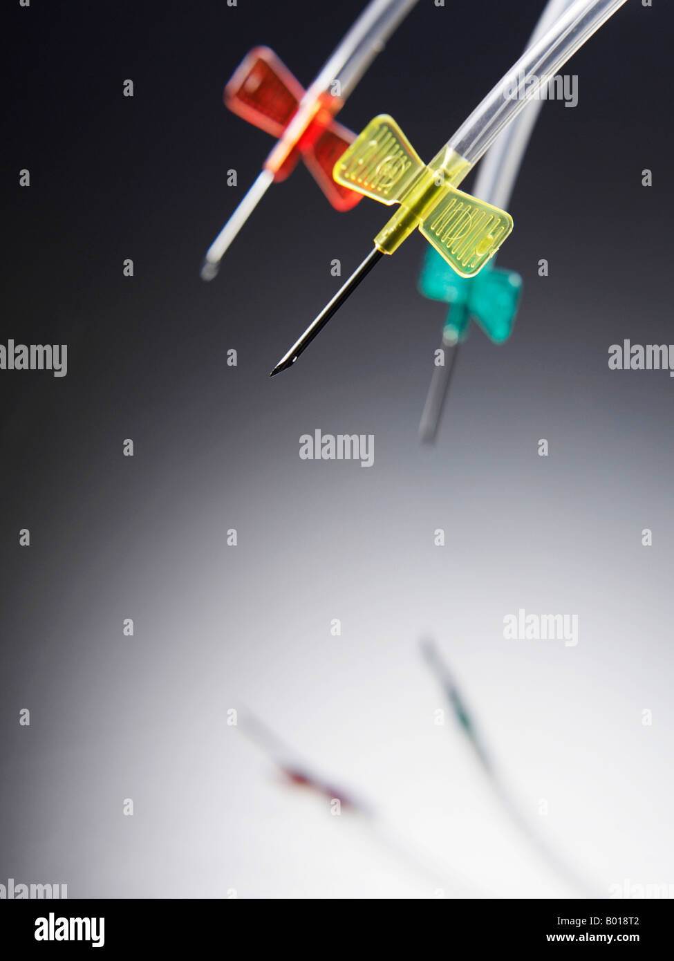 Butterfly iv hi-res stock photography and images - Alamy