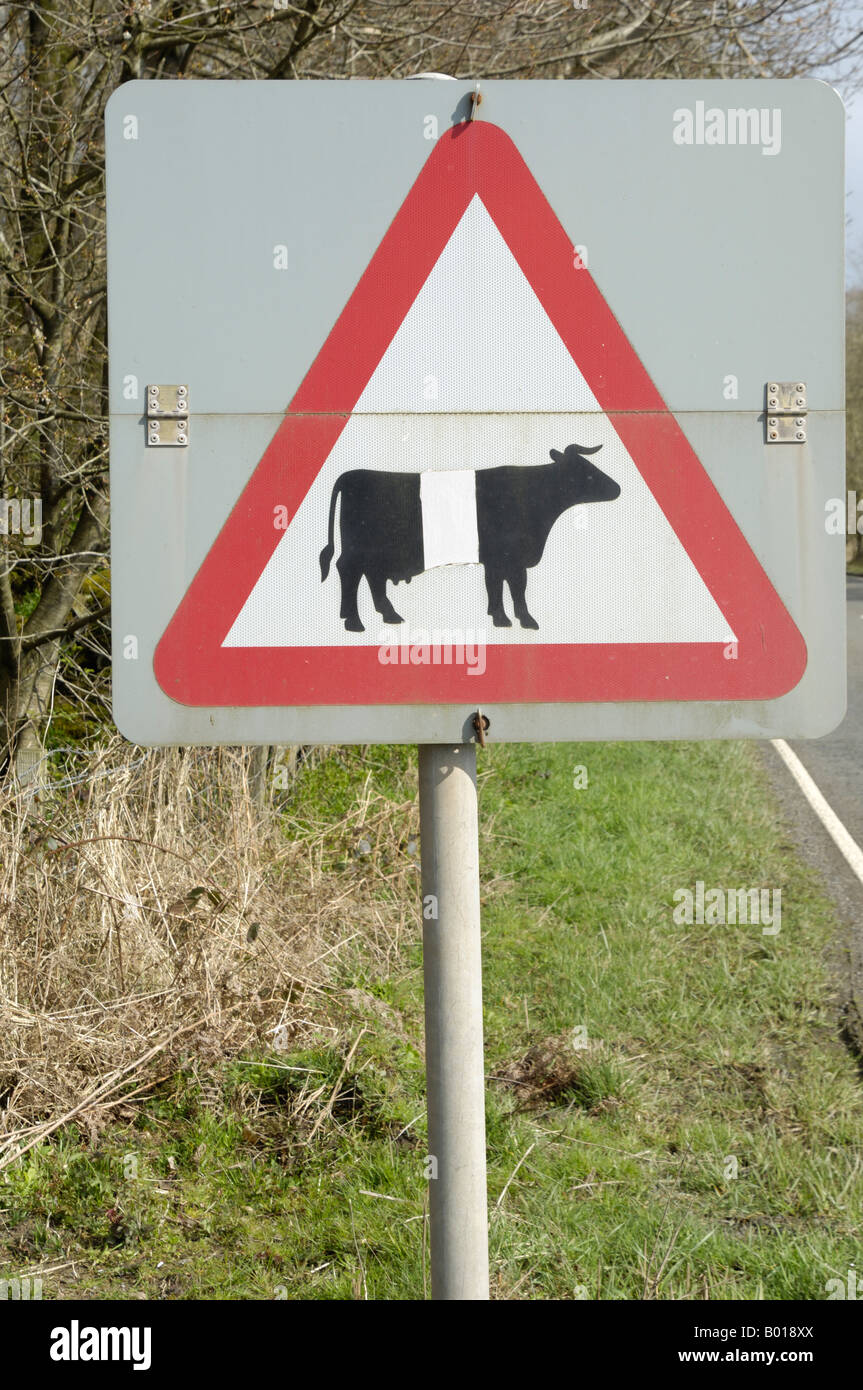 Road sign, Cattle Crossing adapted to show Belted Galloway cattle ...