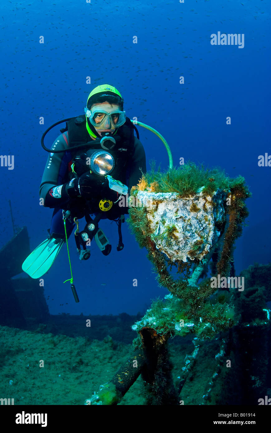 P29 hi-res stock photography and images - Alamy