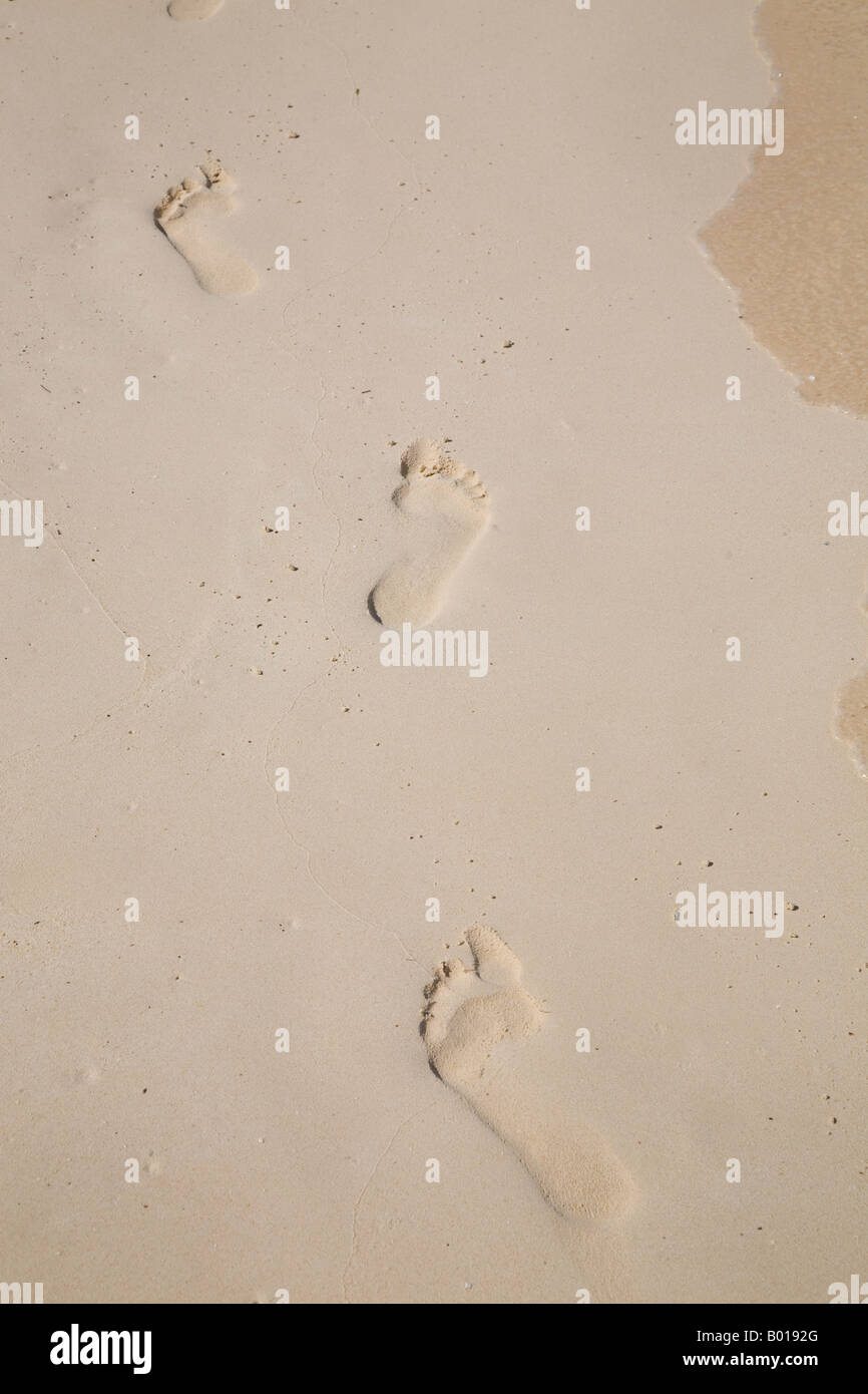 Footprints in beach sand Stock Photo - Alamy