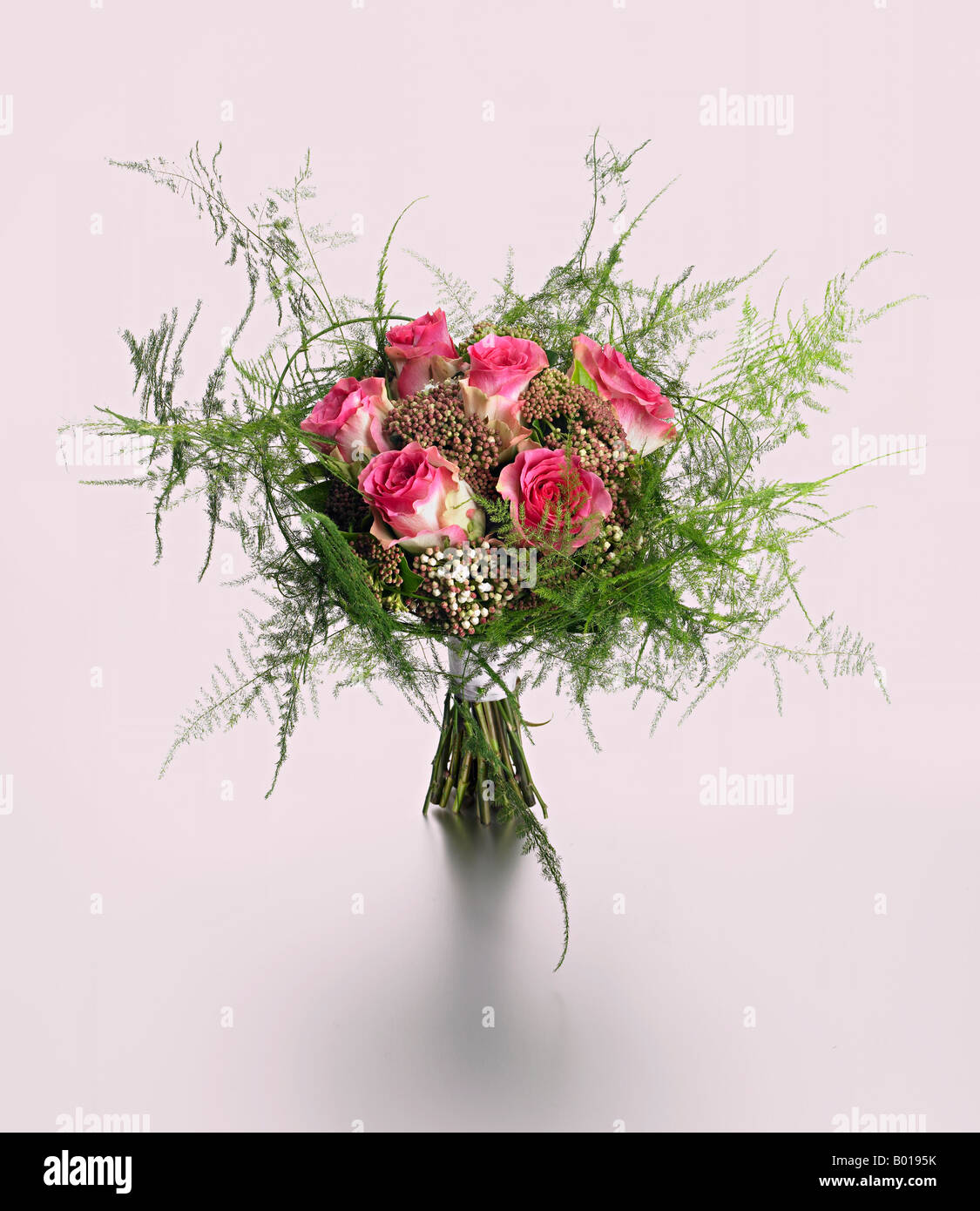 English bride hi-res stock photography and images - Alamy