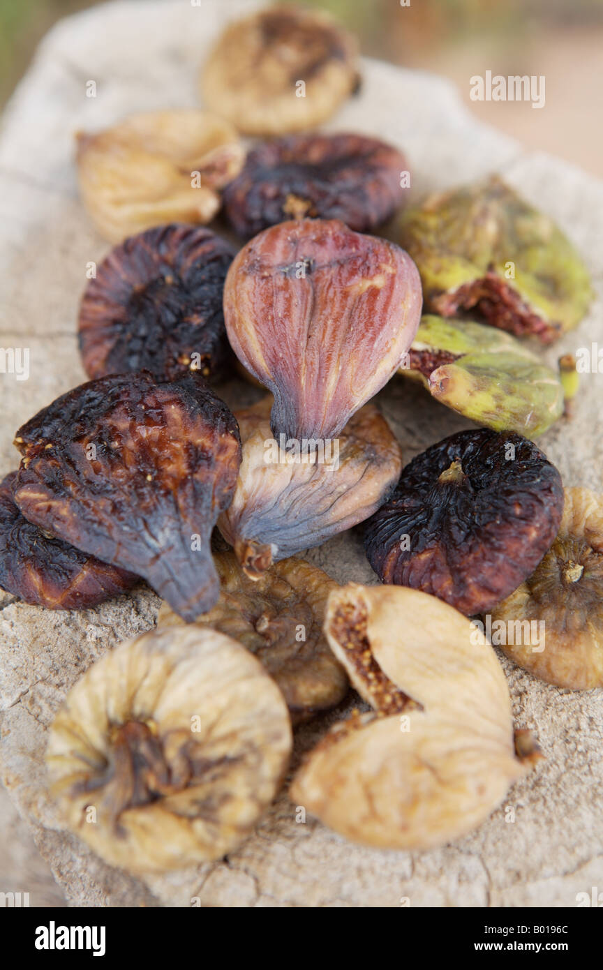 ripe Figs layed out for drying, COMMON NAME: Fig, LATIN NAME: Ficus ...