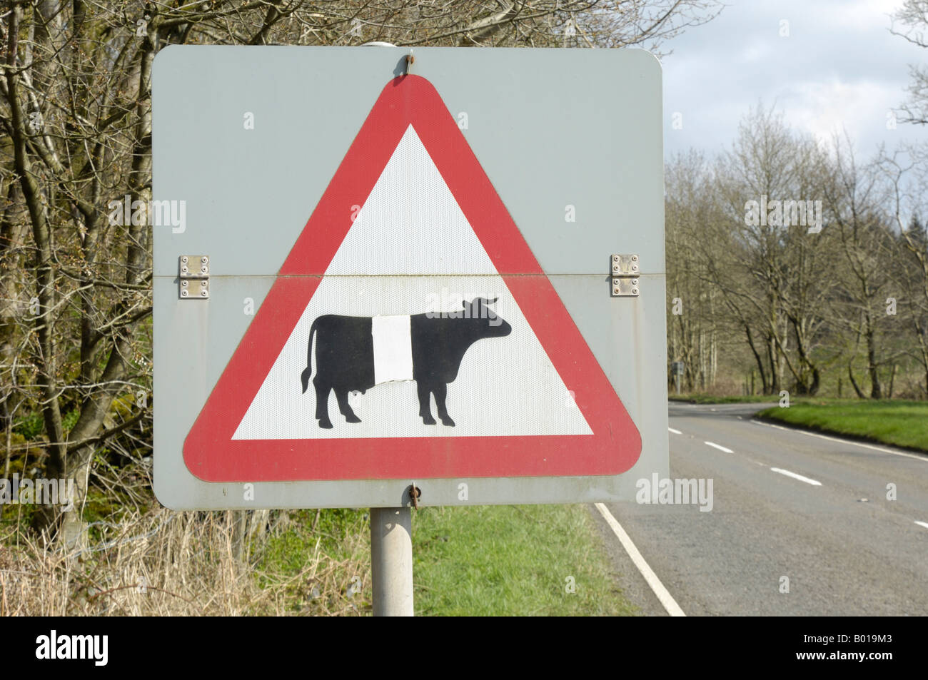 Uk road sign bull hi-res stock photography and images - Alamy