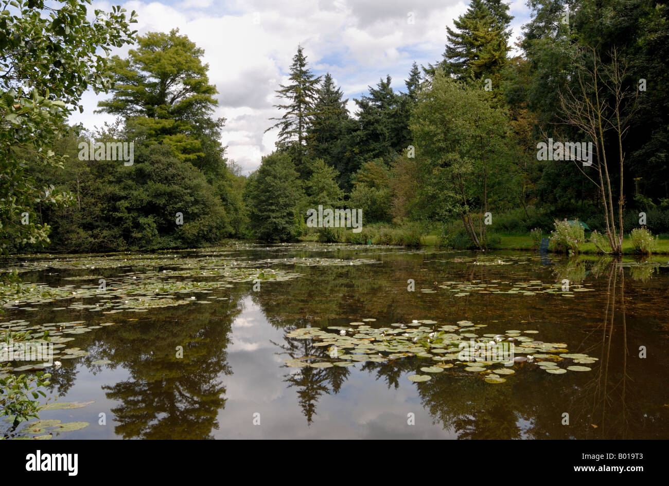 Lynford water hi-res stock photography and images - Alamy
