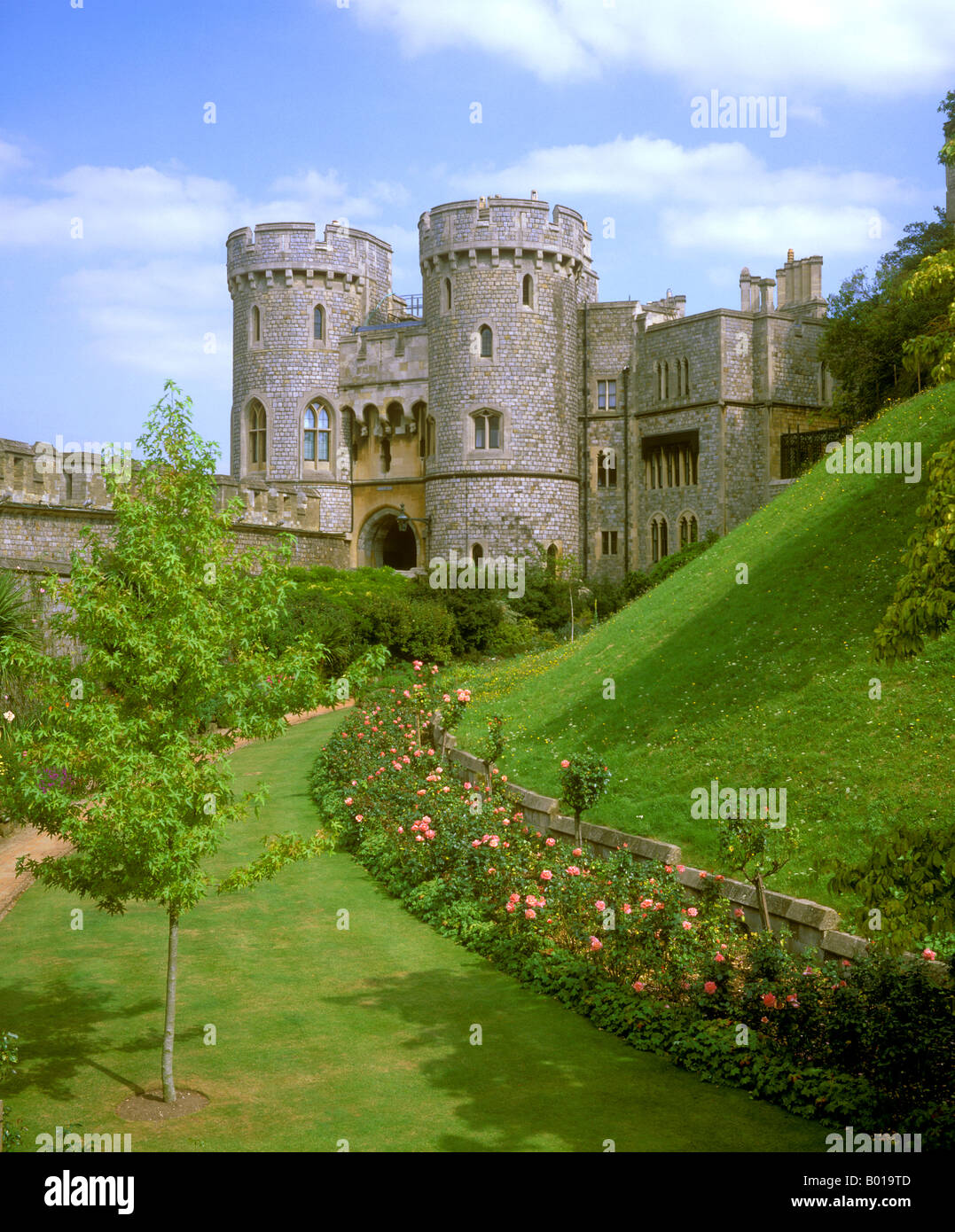 Windsor castle rose gardens hi-res stock photography and images - Alamy