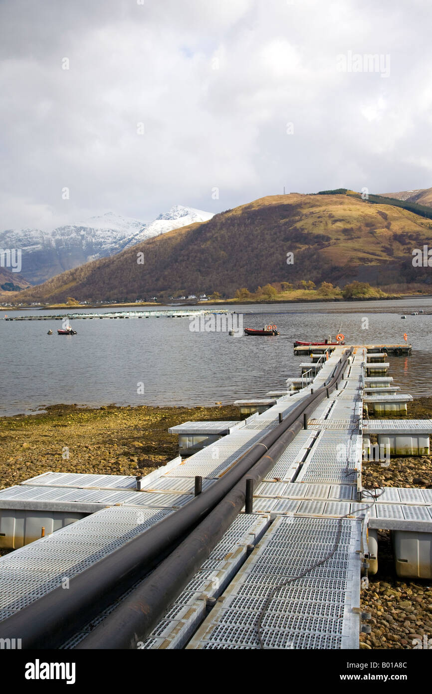 Scottish Sea Farms Stock Photos & Scottish Sea Farms Stock Images - Alamy