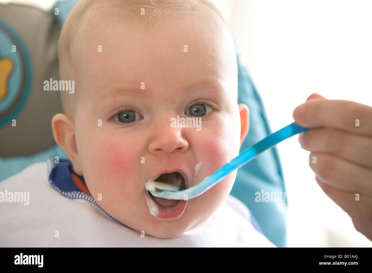 Baby boy is fed by a spoon Stock Photo - Alamy