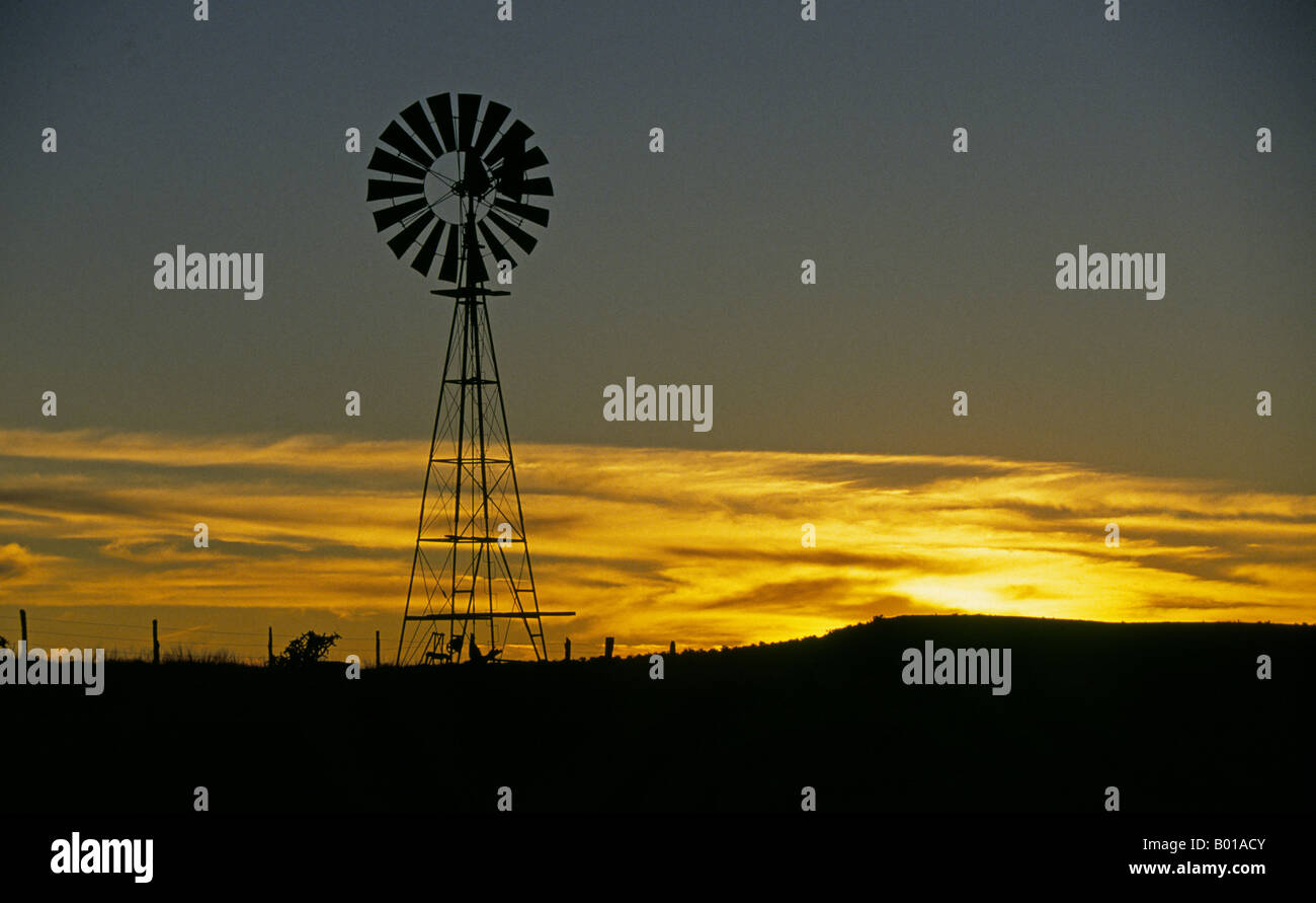Cattle at water windmill hi-res stock photography and images - Alamy