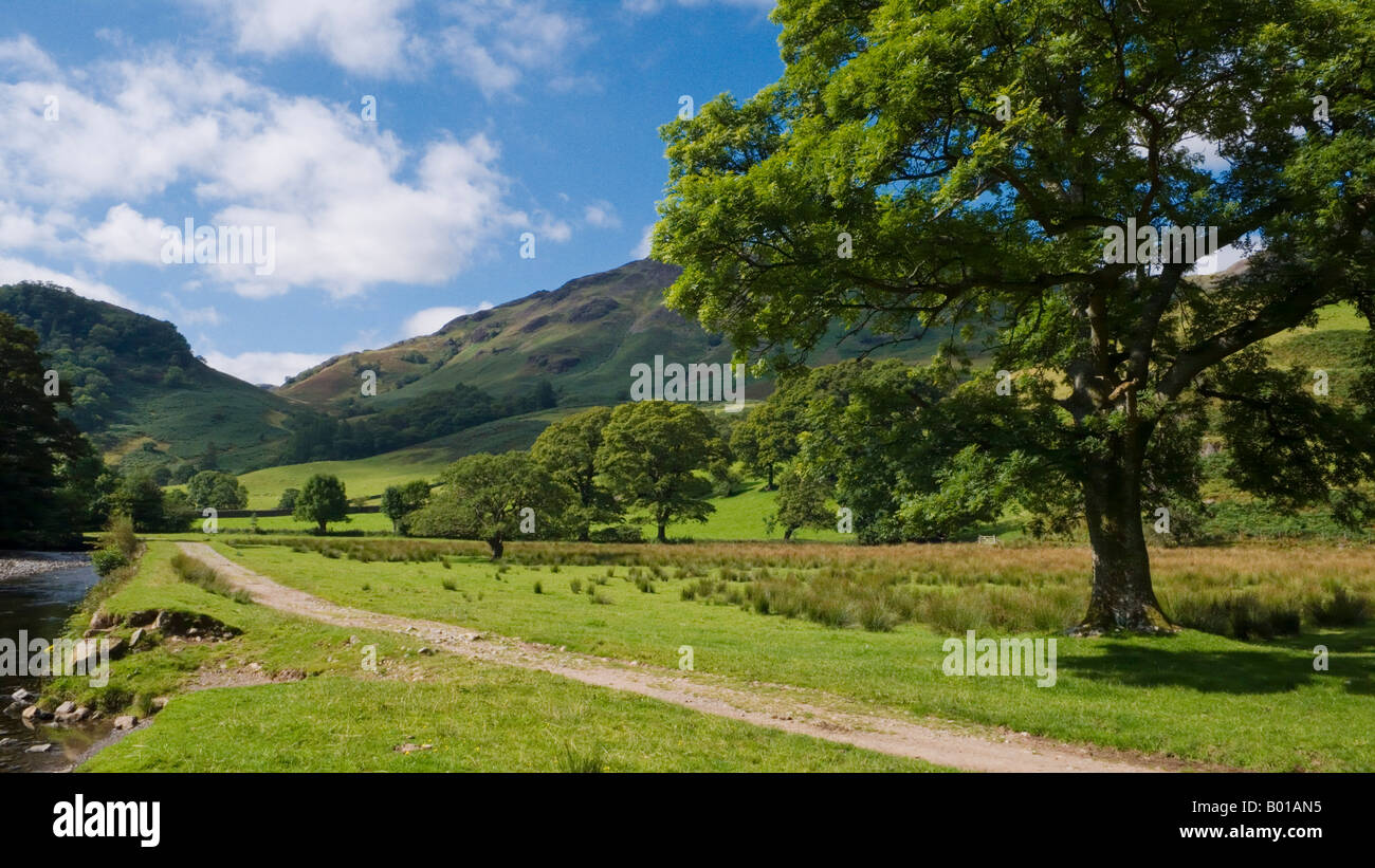 Path by the side of River Derwent near Rosthwaite Borrowdale Lake ...