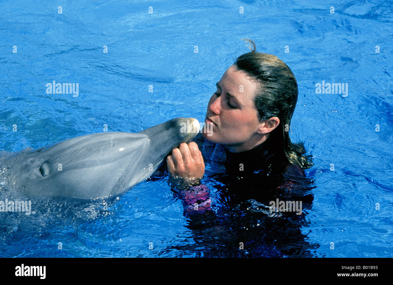 San Diego Seaworld Tank High Resolution Stock Photography and Images ...